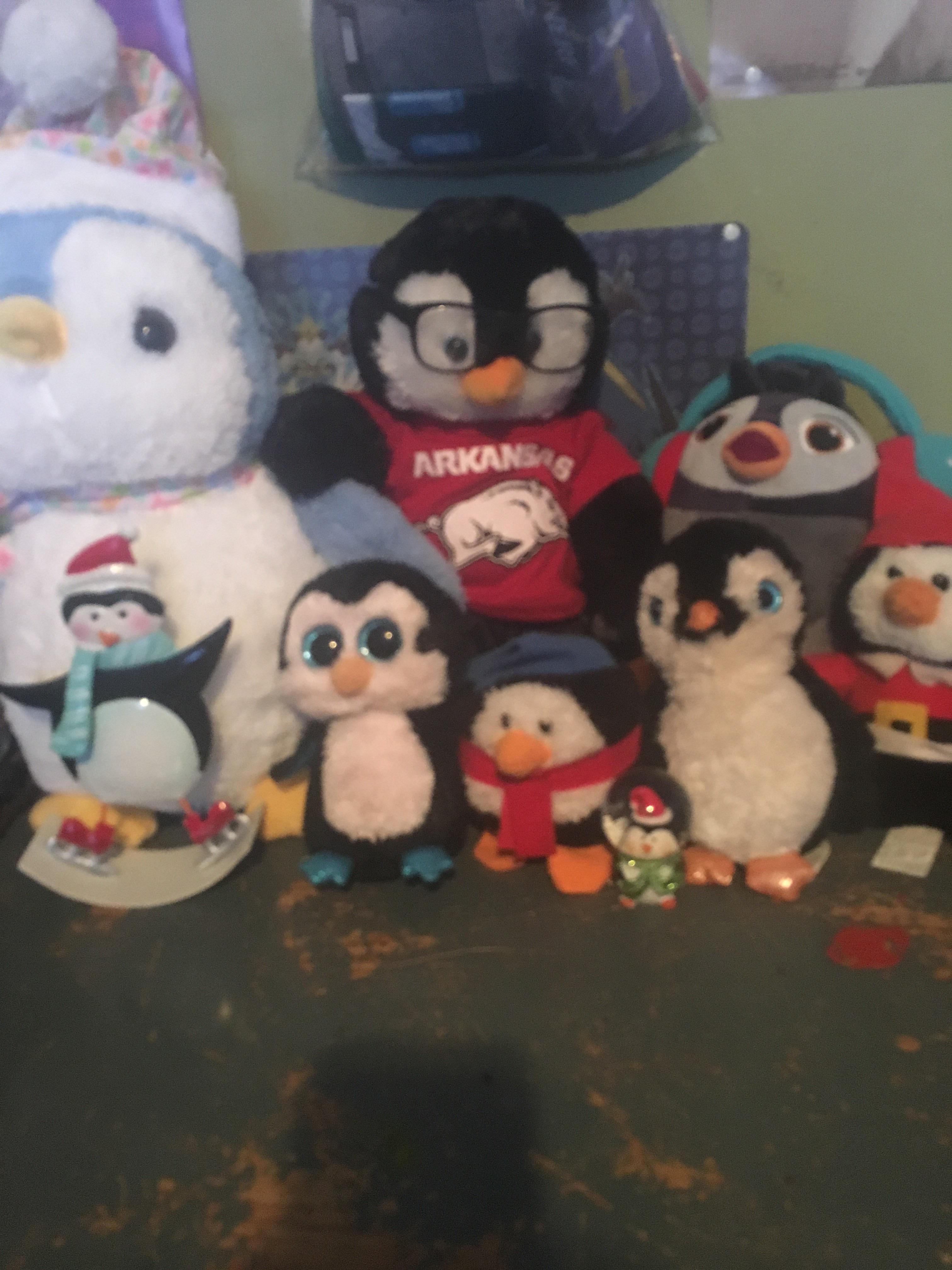 Group photo of my penguins | Scrolller