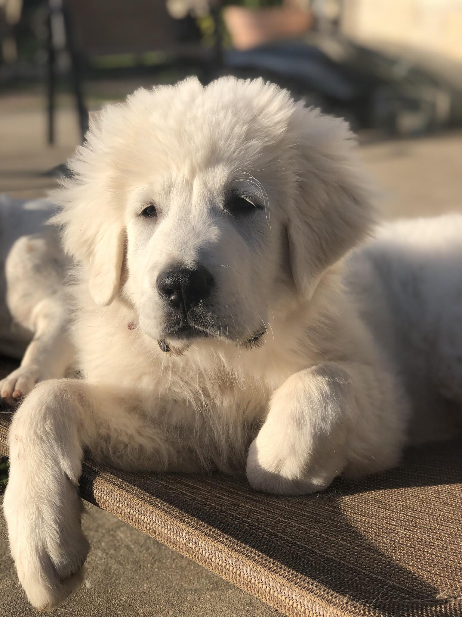 Growing Boy 🥰 | Scrolller