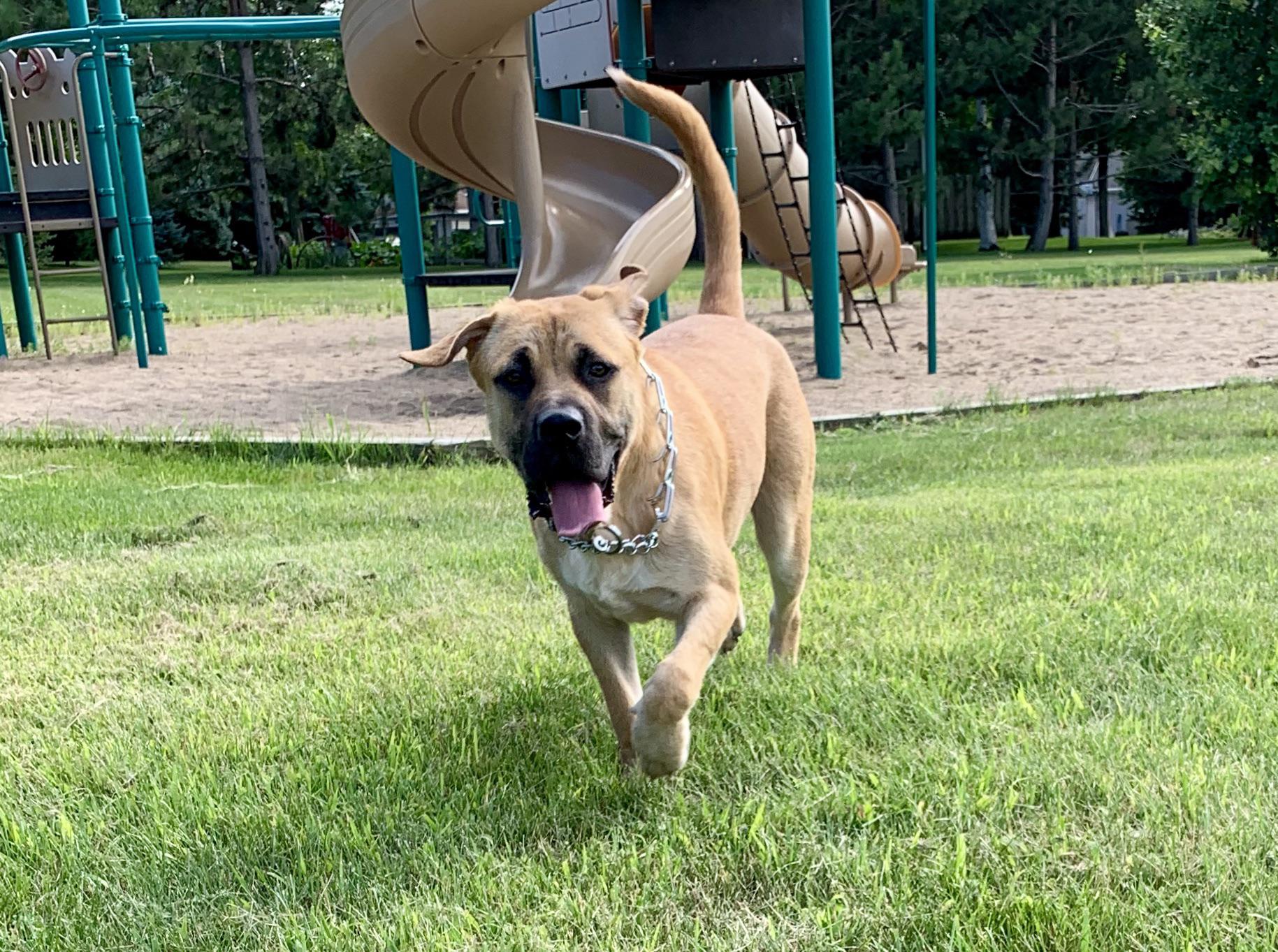 Growing boy | Scrolller