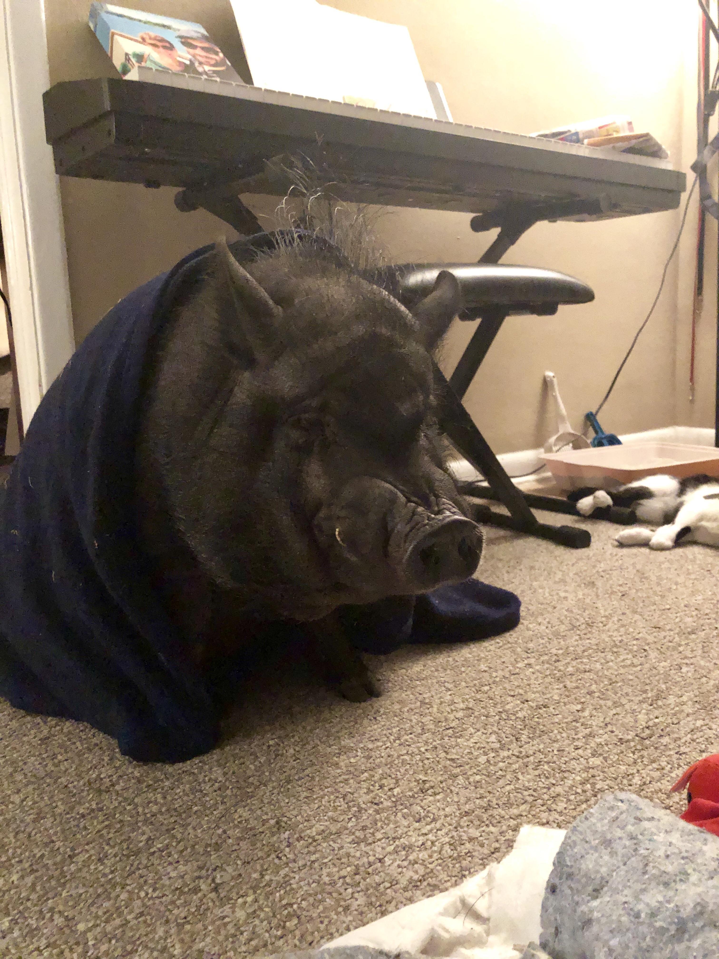 Grumpy after a nap | Scrolller