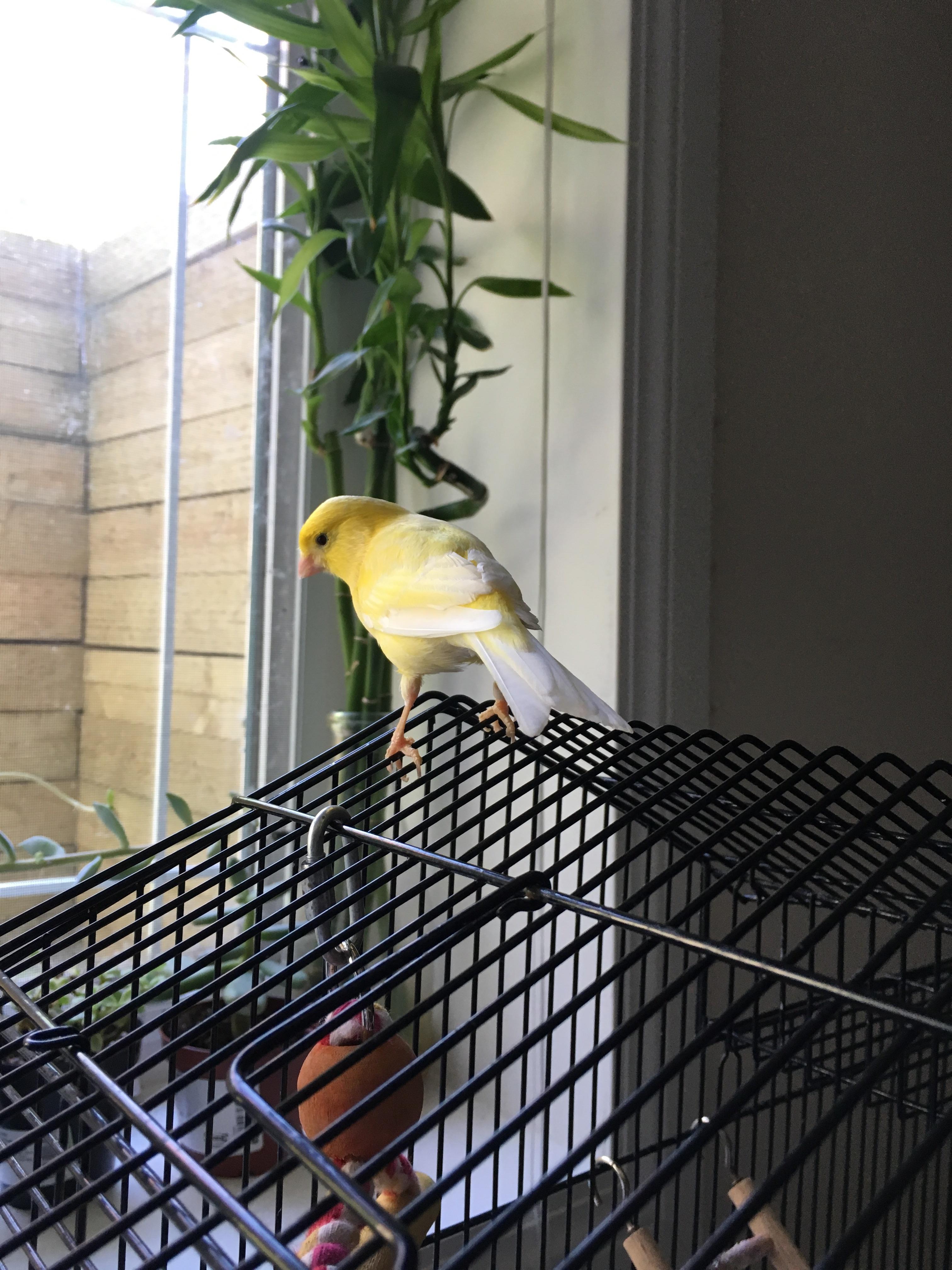 Grumpy boy doesn't want his picture taken | Scrolller