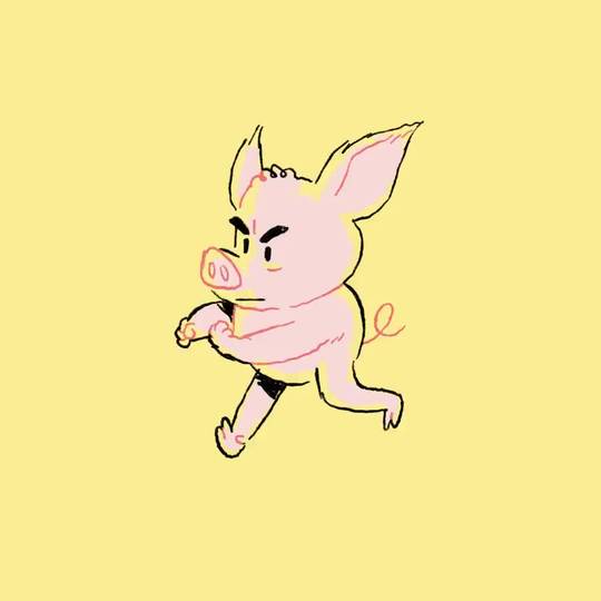 GRUMPY PIG | Scrolller