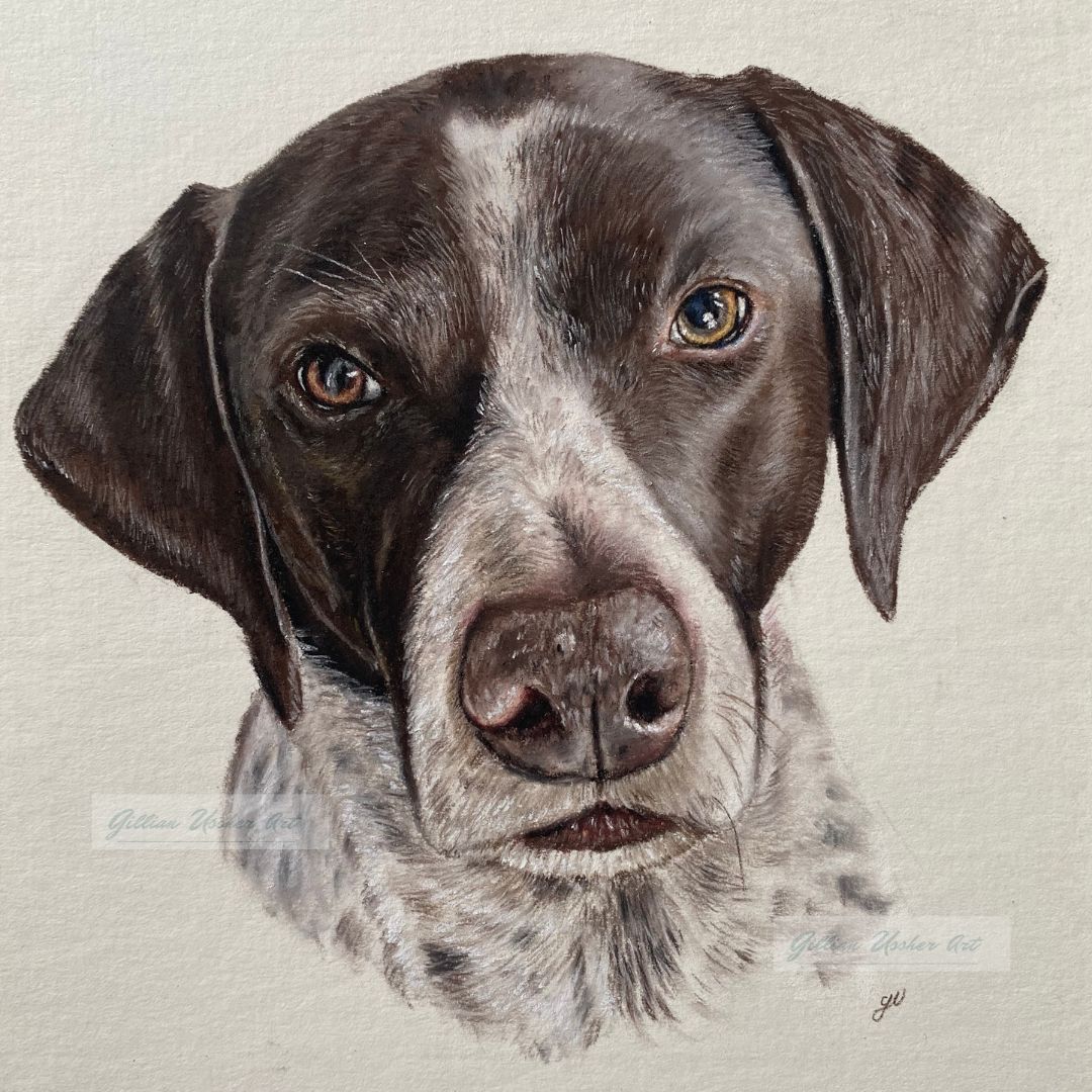 GSP, Me, Pastel, 2020 | Scrolller