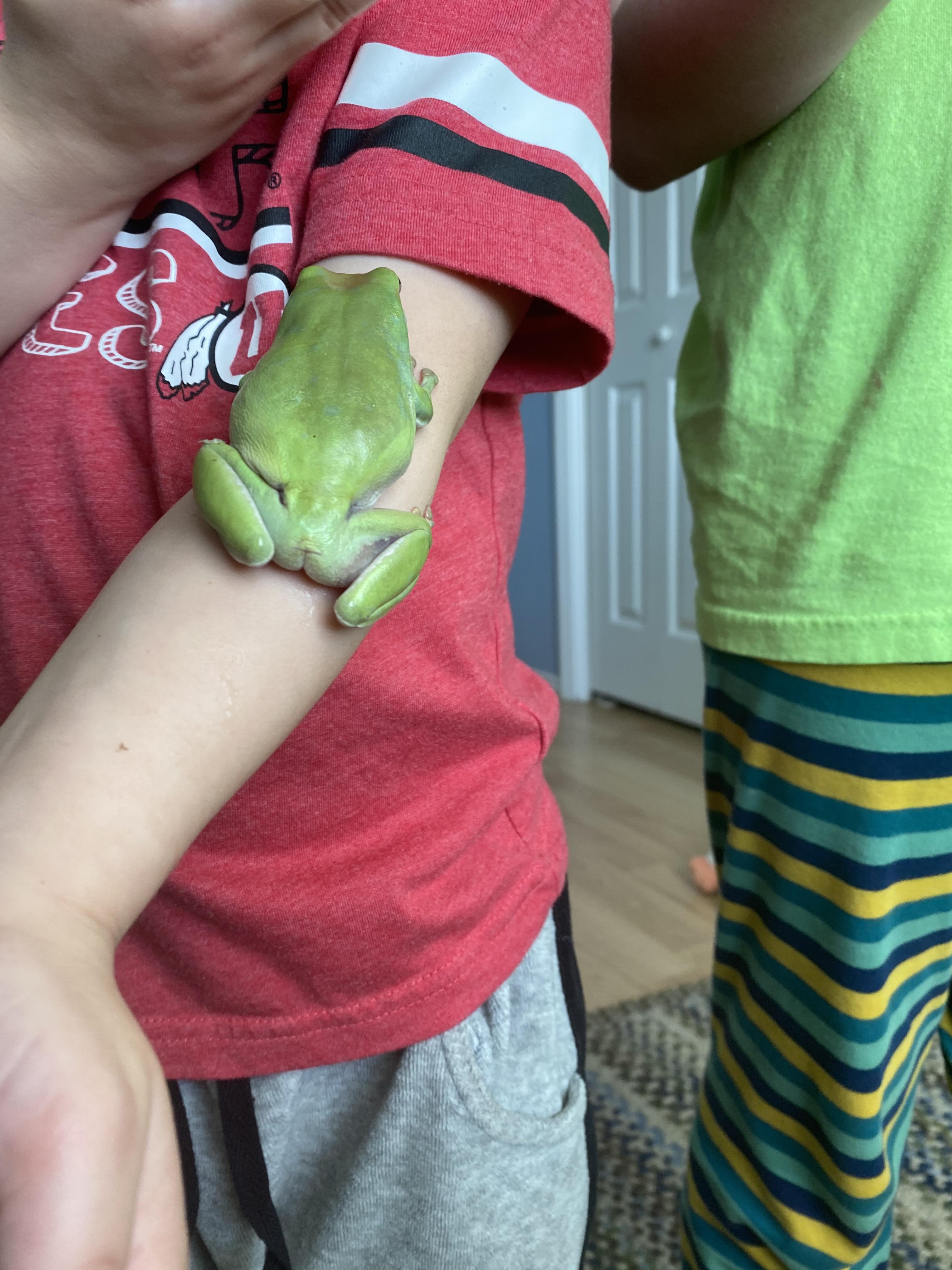 Guess what? Frog butt. | Scrolller