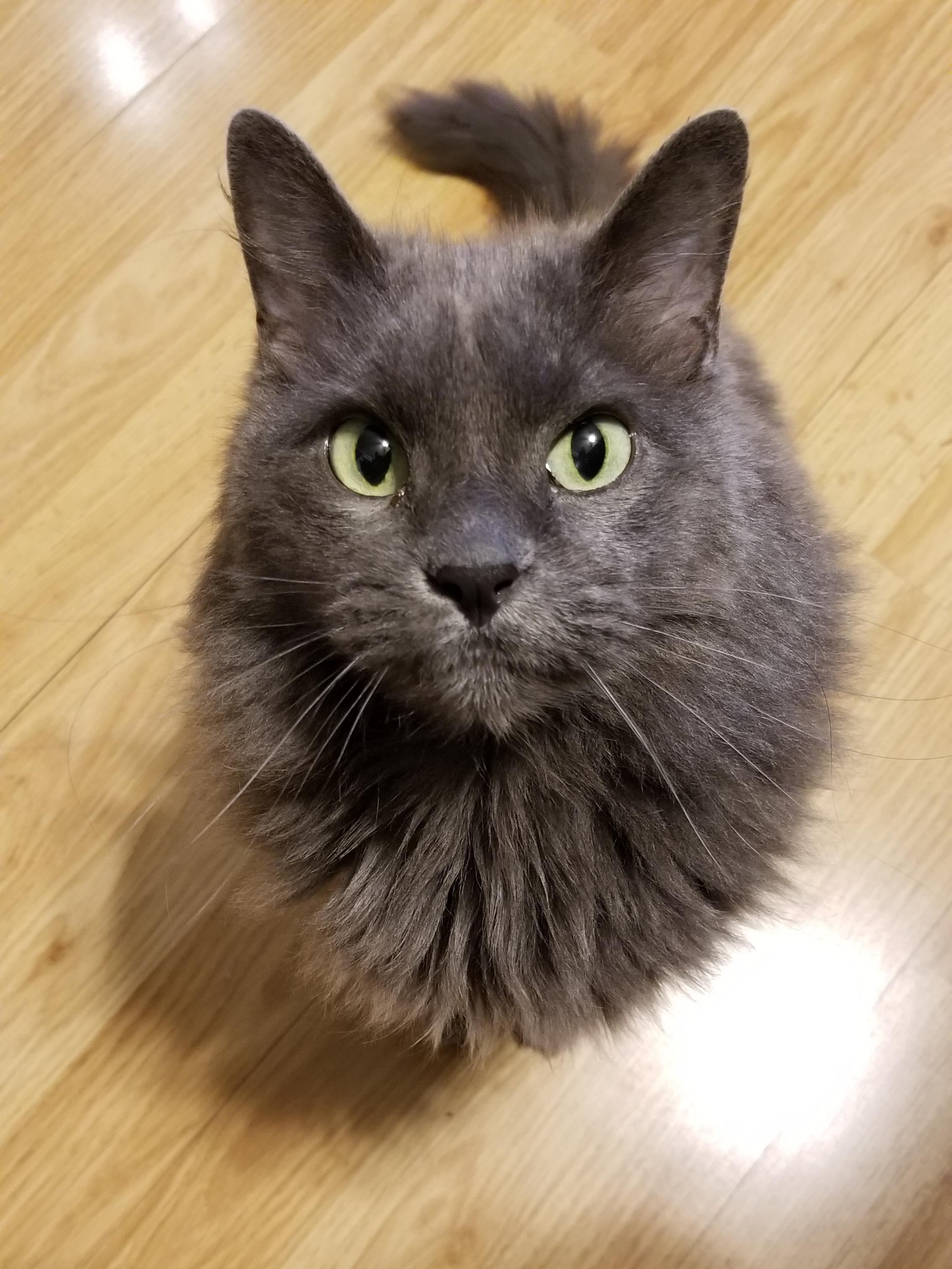 Gus says good morning! | Scrolller