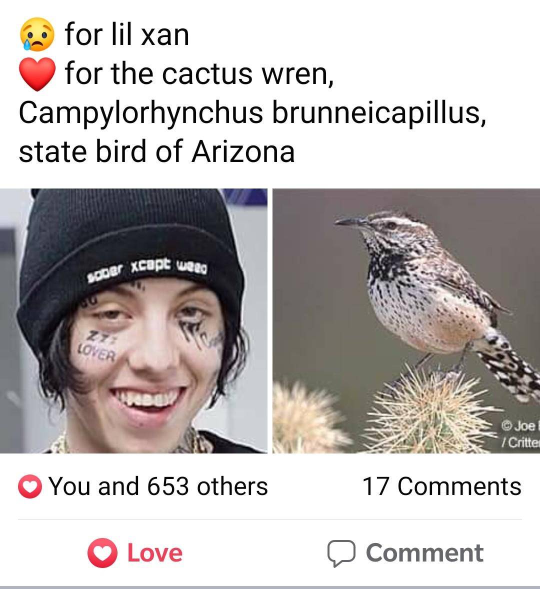 Guys Quackity has gon bas | Scrolller