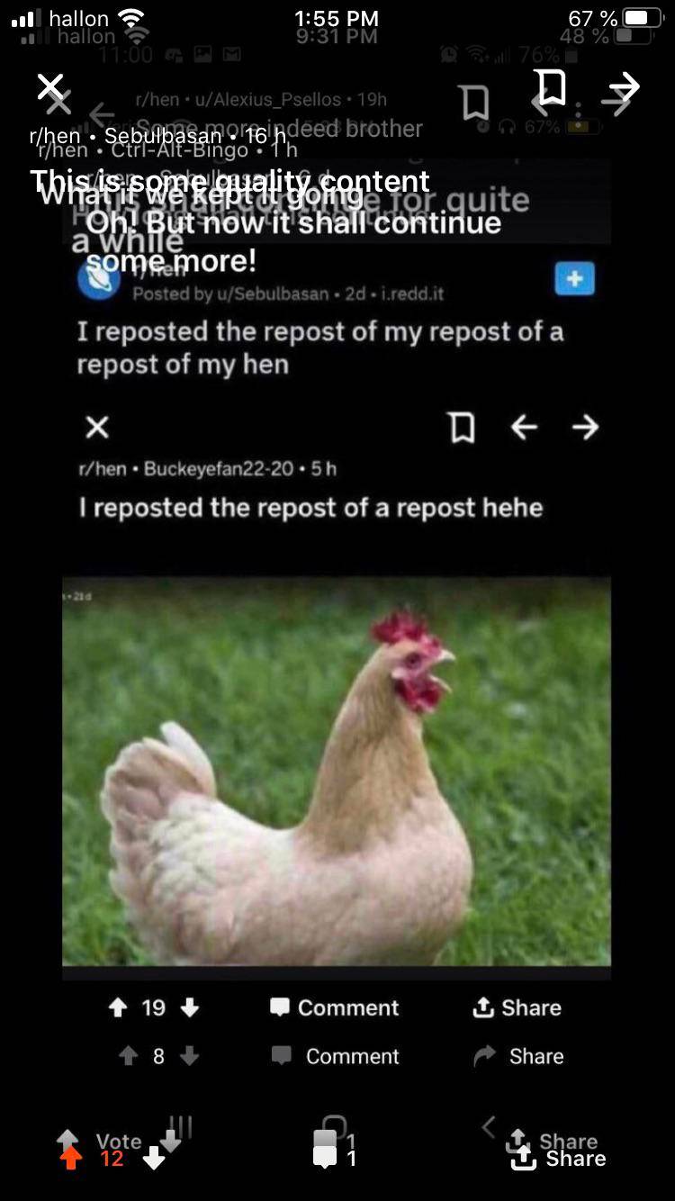 Guys... this is epic | Scrolller