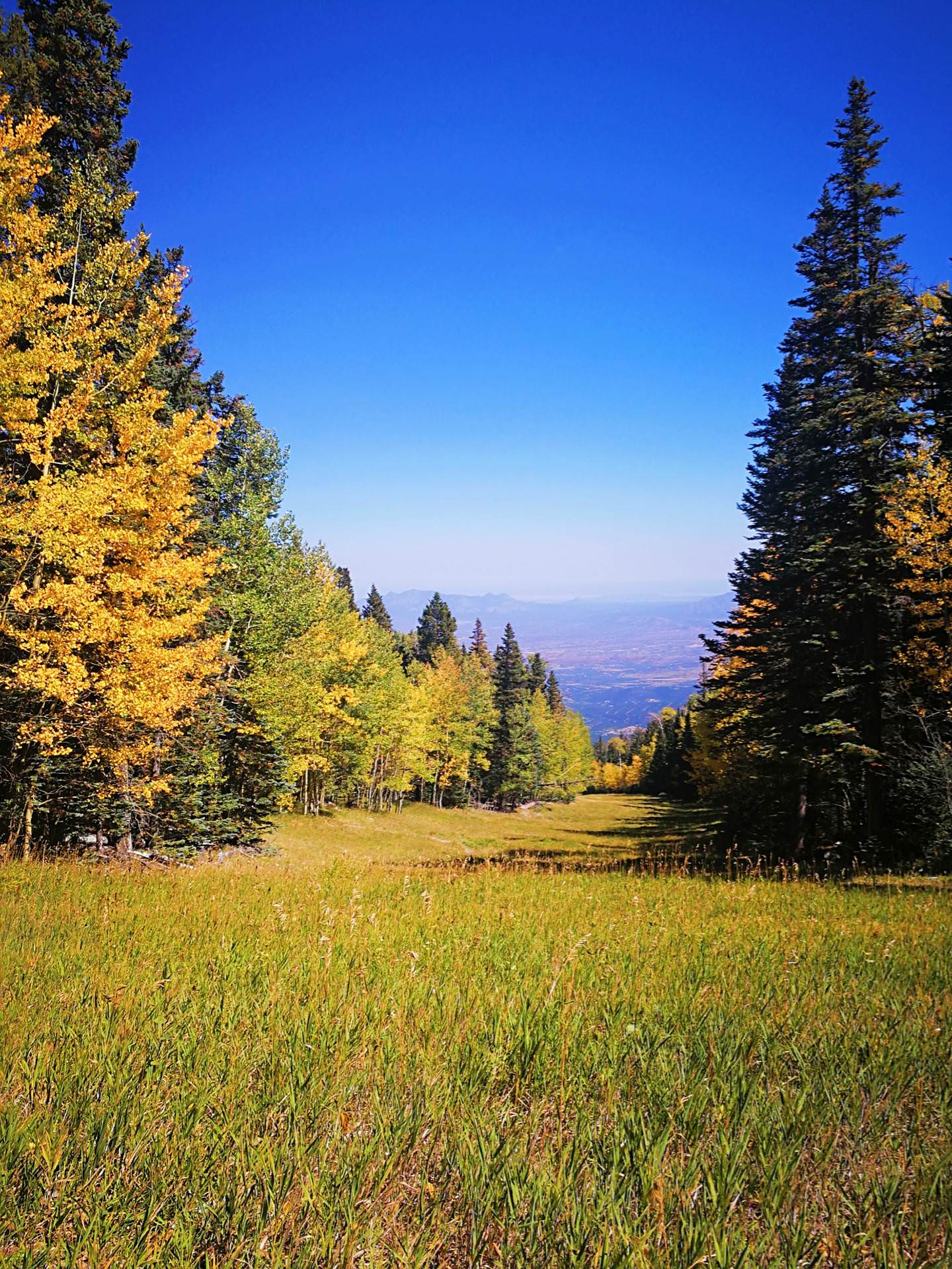 Had A Picnic At Sandia Peak After Riding The Tram Such A Lovely Day π