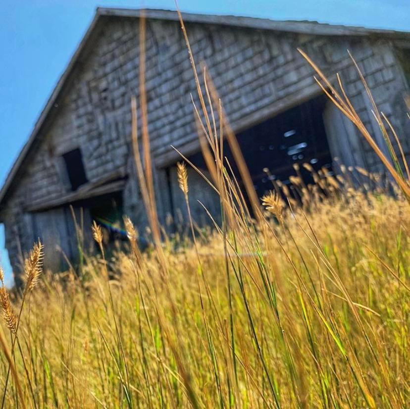 Half standing, old, abandoned barn. | Scrolller