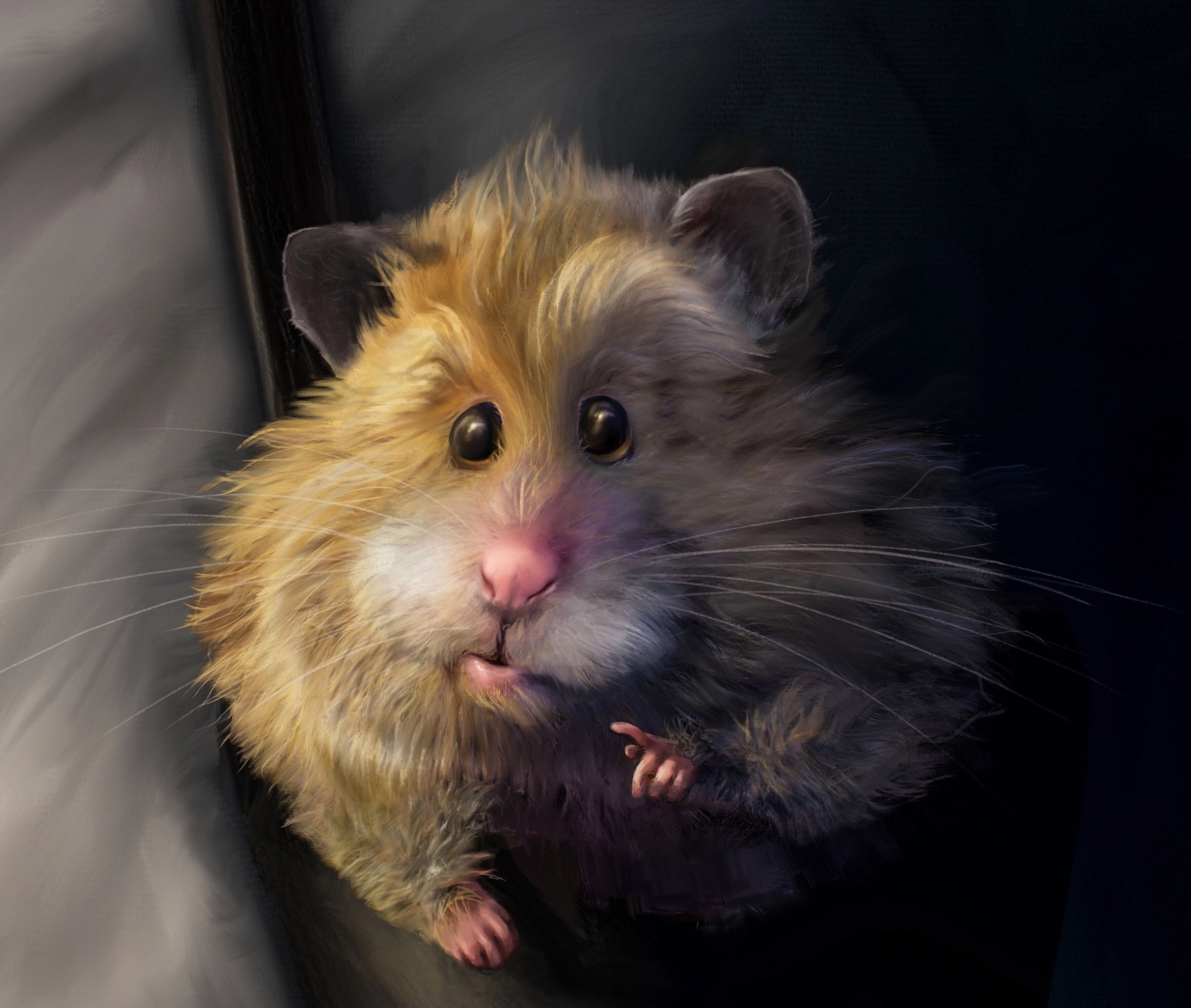 Hamster by Jonathan Opgenhaffen | Scrolller