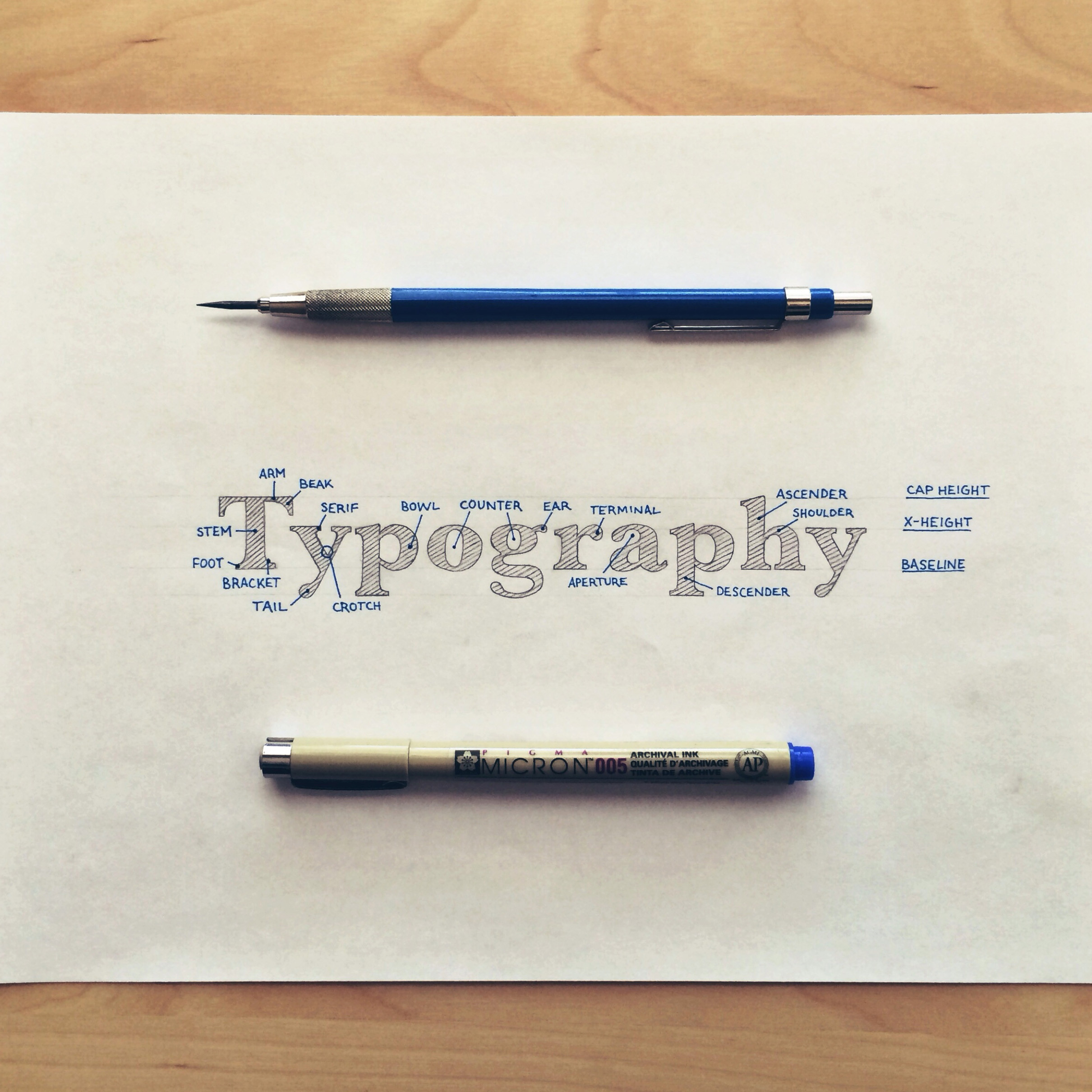 Hand Lettered Type Anatomy – One of the pieces I drew for one of my ...