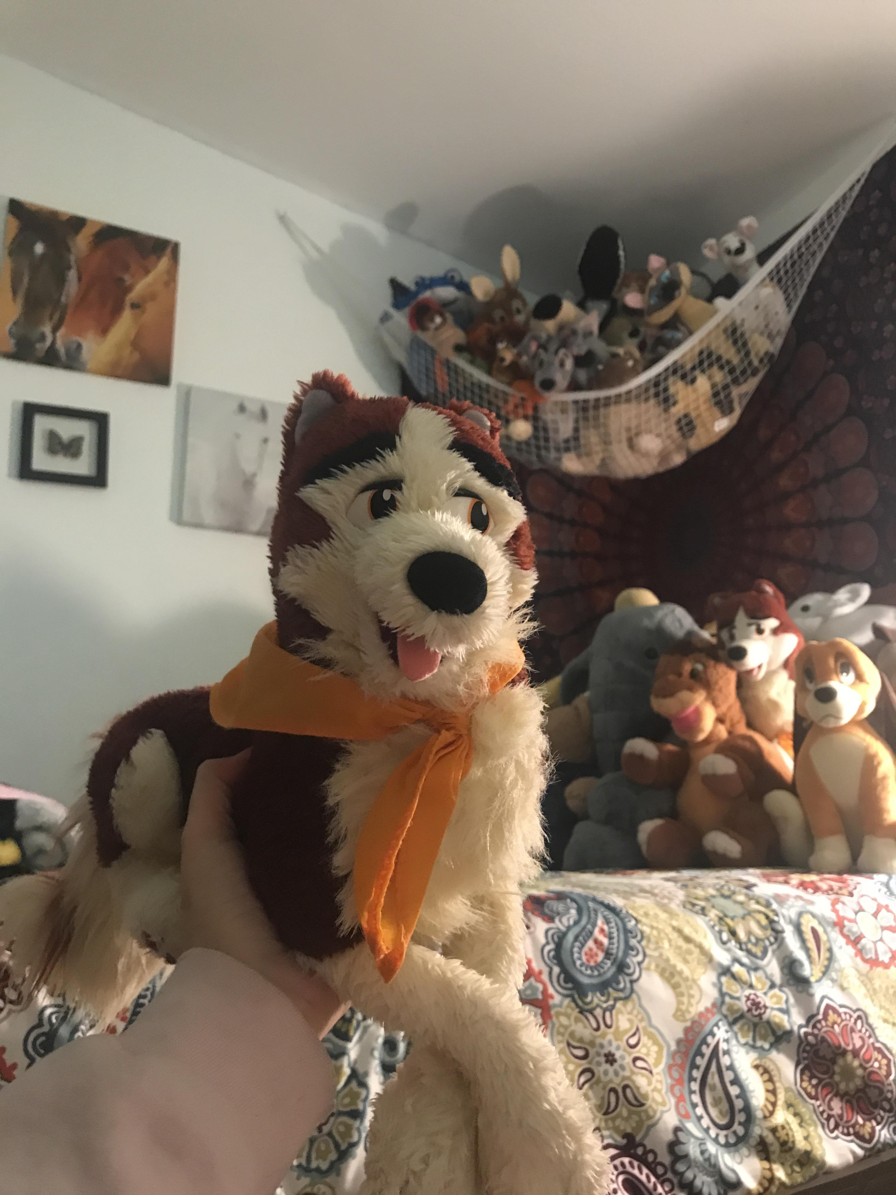 hand washed my Balto Jenna plush & she’s brighter than when she was delivered! | Scrolller