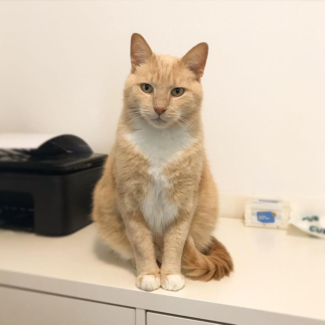 Handsome boy | Scrolller