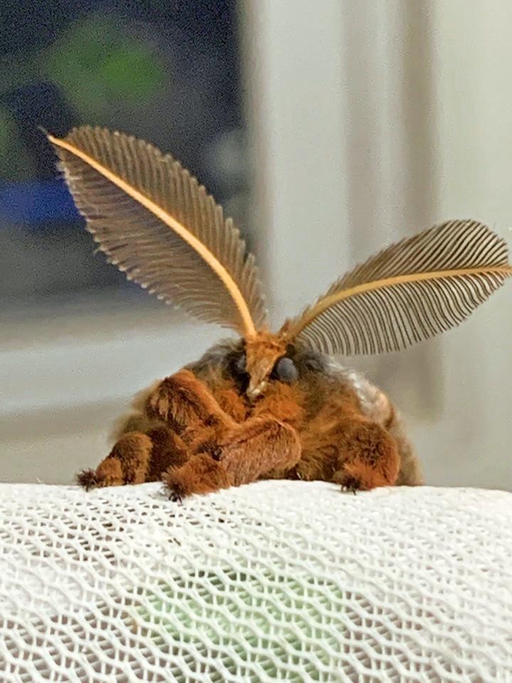 Handsome Boy. | Scrolller