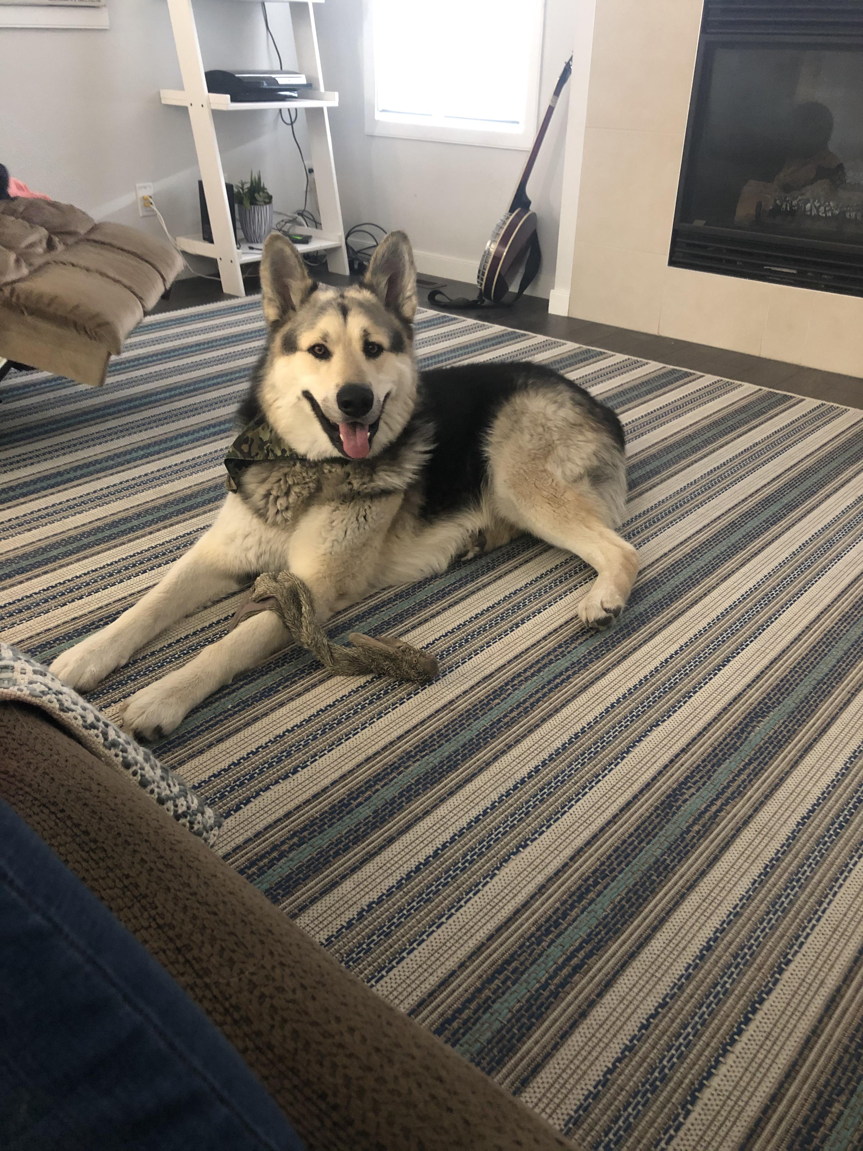 Handsome boy. | Scrolller