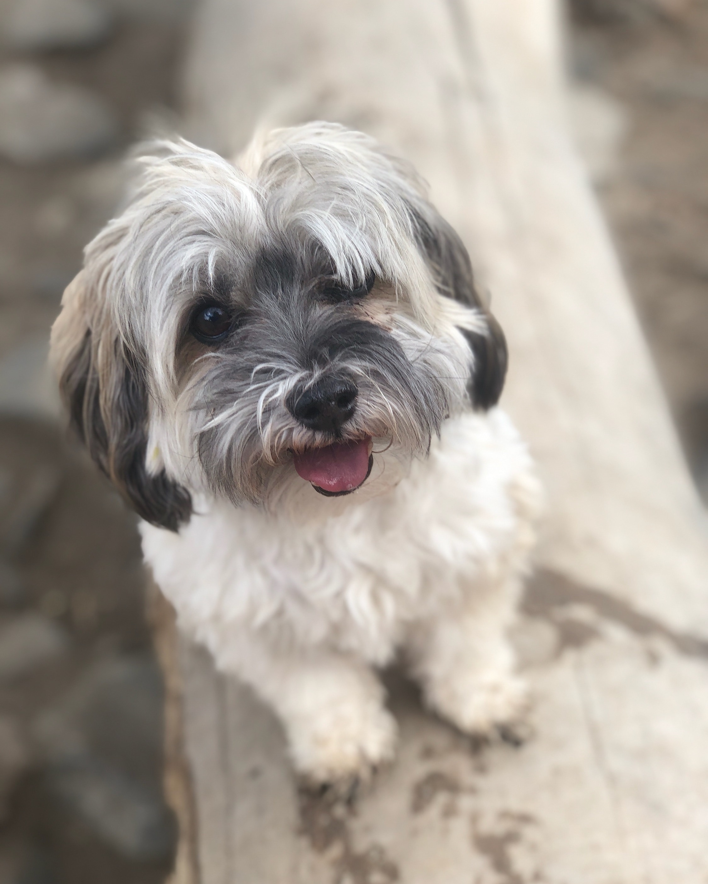 Handsome man!!!! | Scrolller