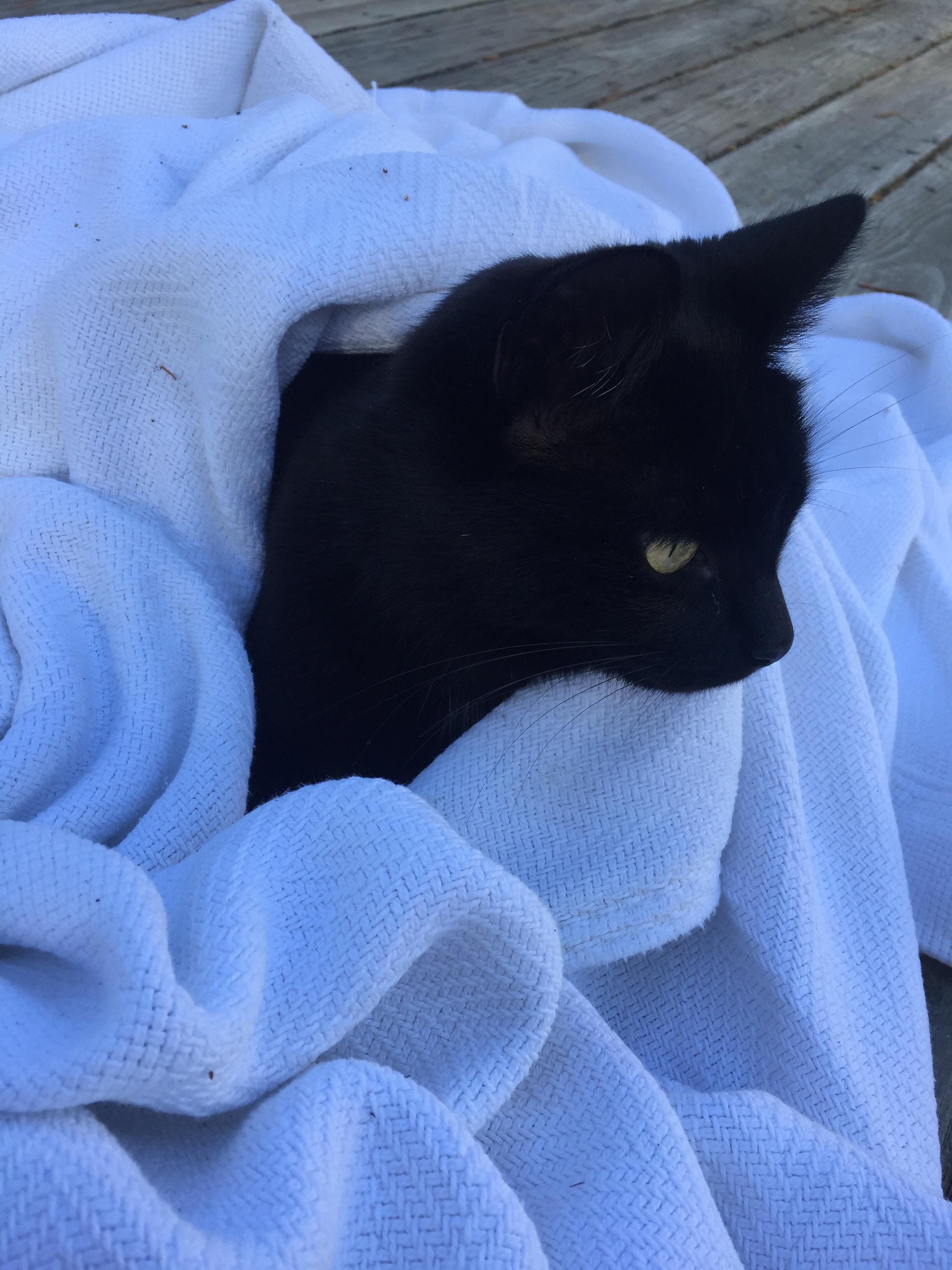 Handsome man in white | Scrolller