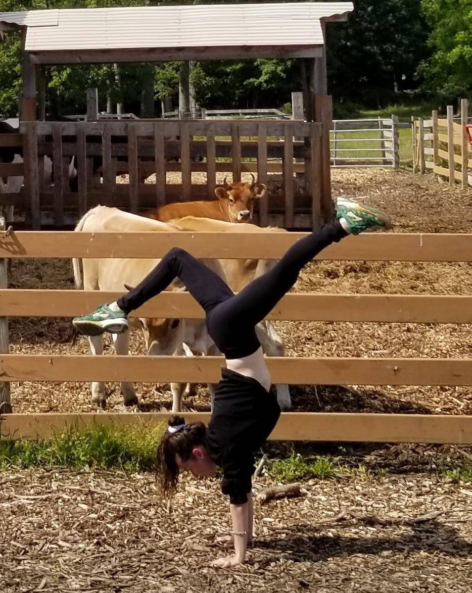 Handstand and animals | Scrolller