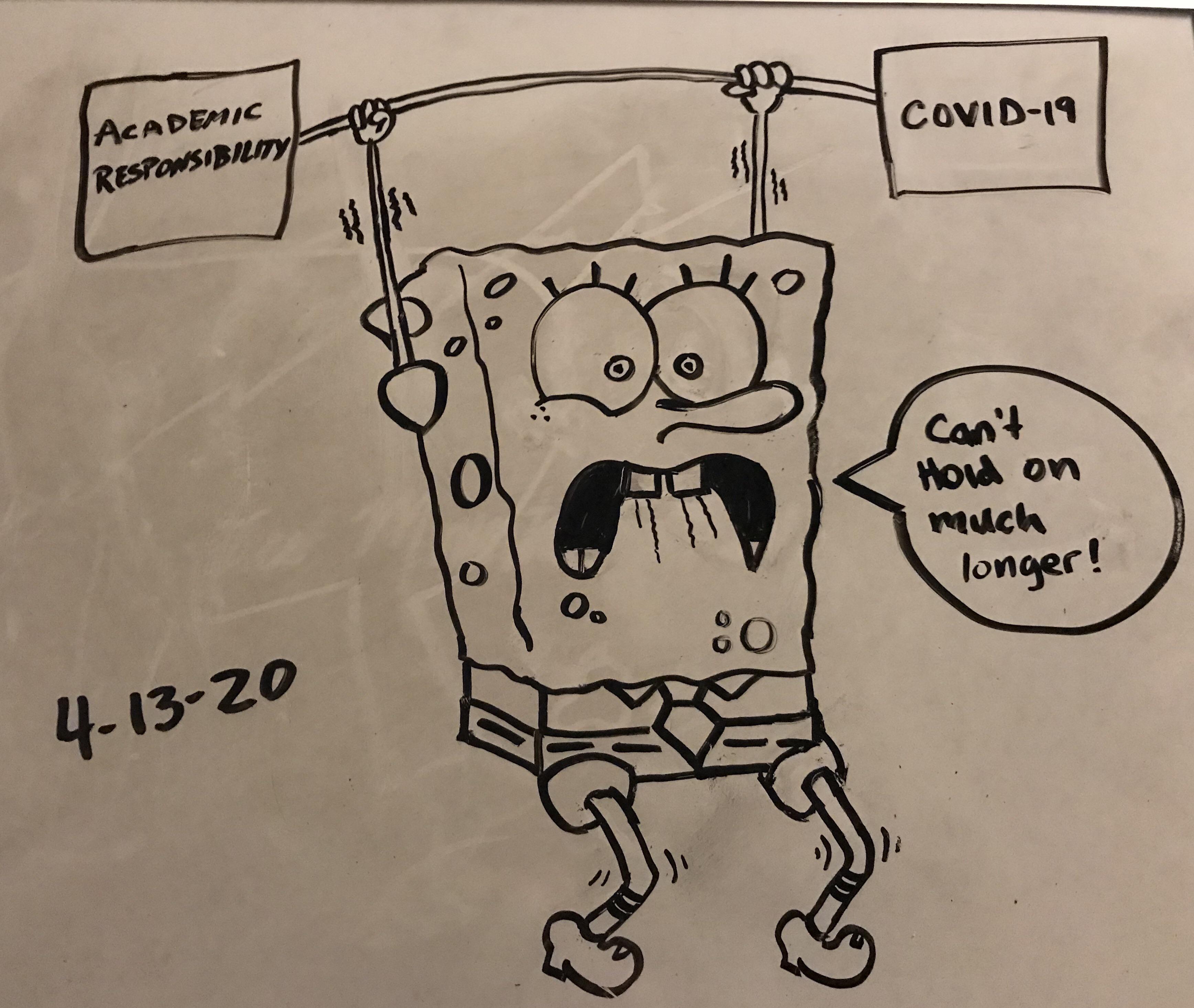 Hang In there! | Scrolller