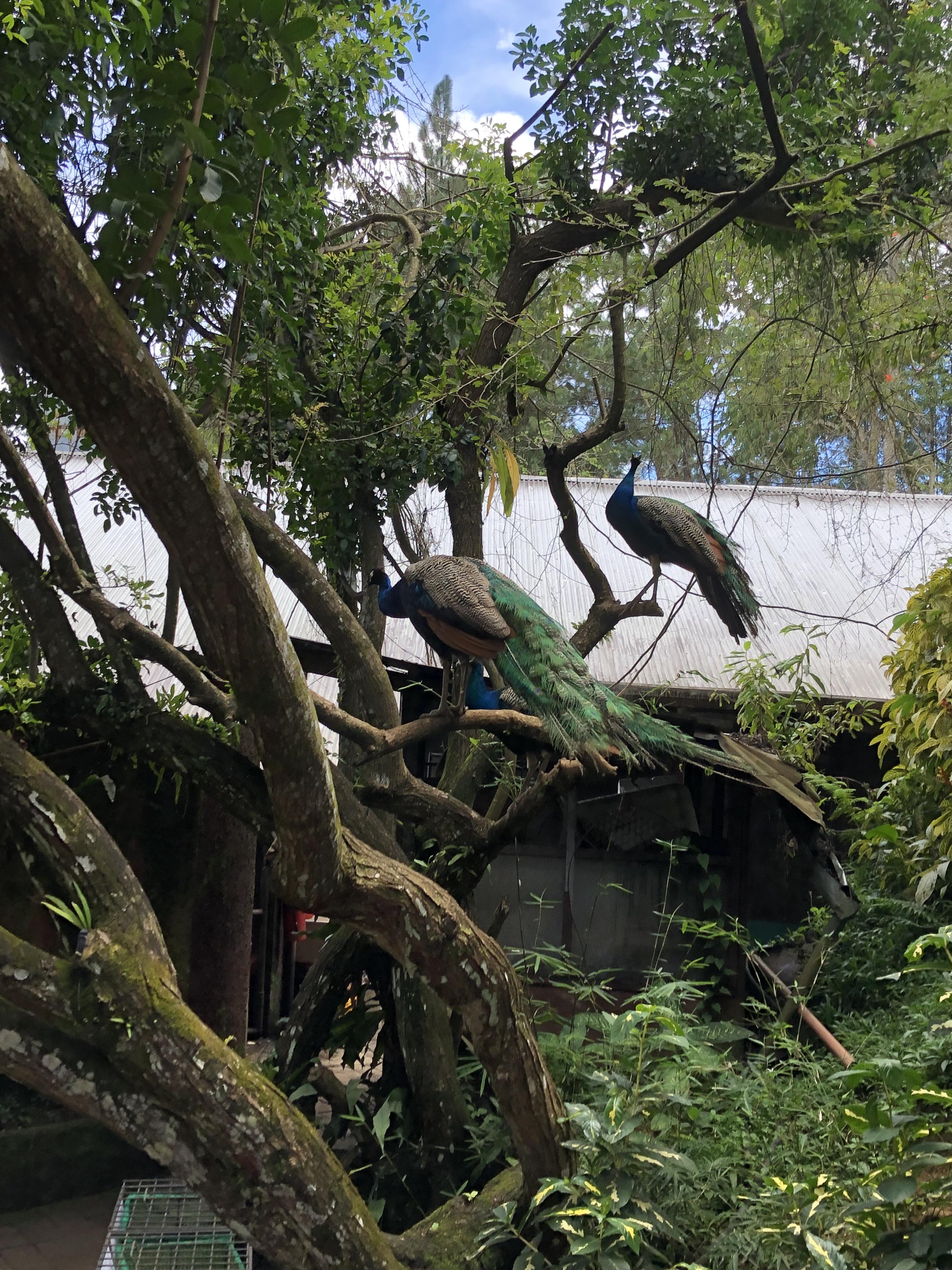 Hang in there.. | Scrolller