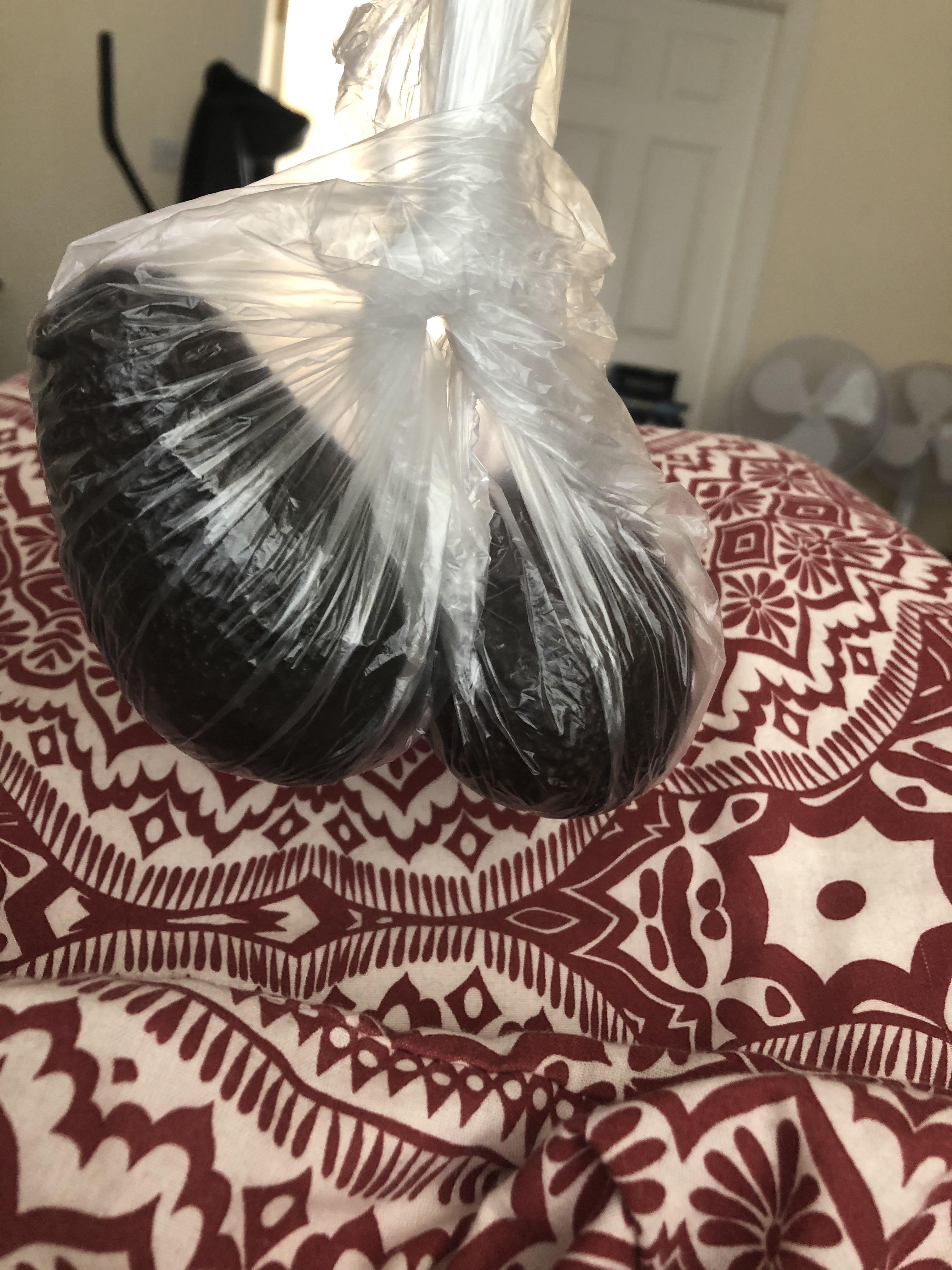 Hanging low in the sack | Scrolller