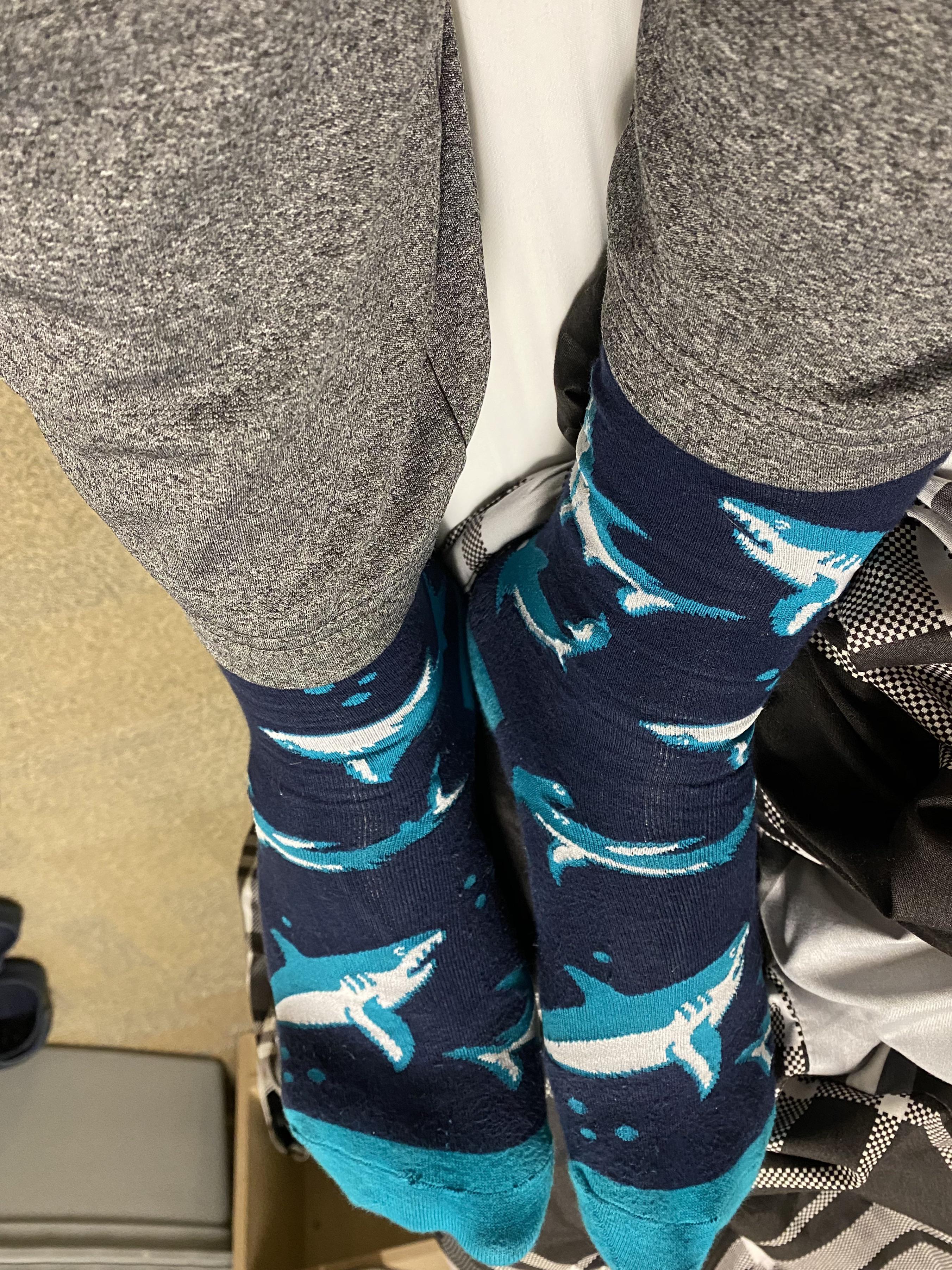 Hanging out with my sharks. | Scrolller