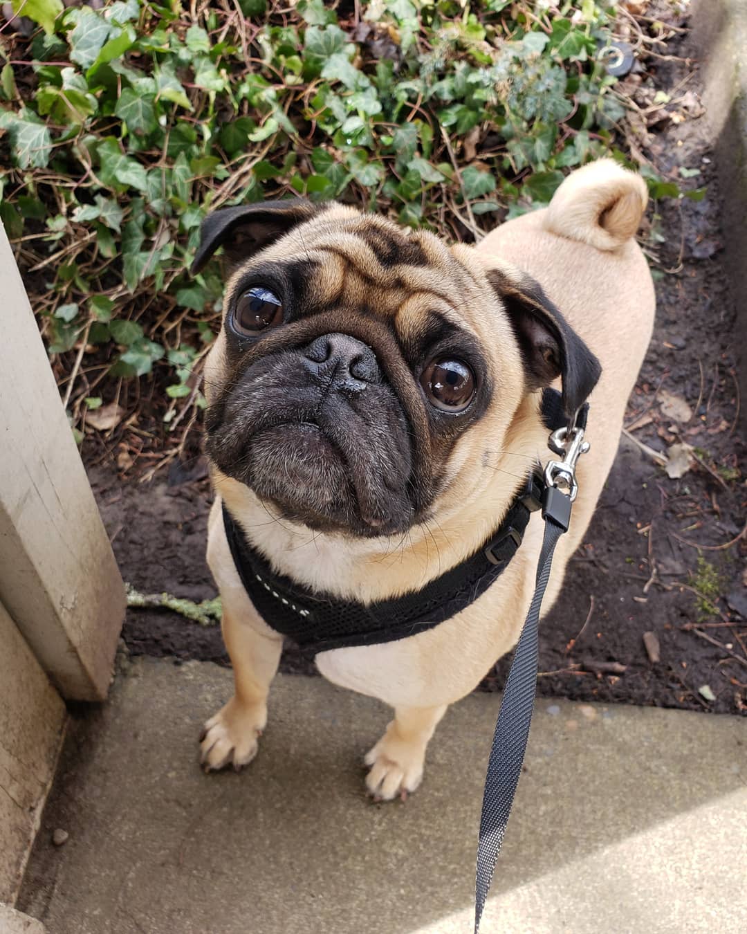 Hank and his handsome face! | Scrolller