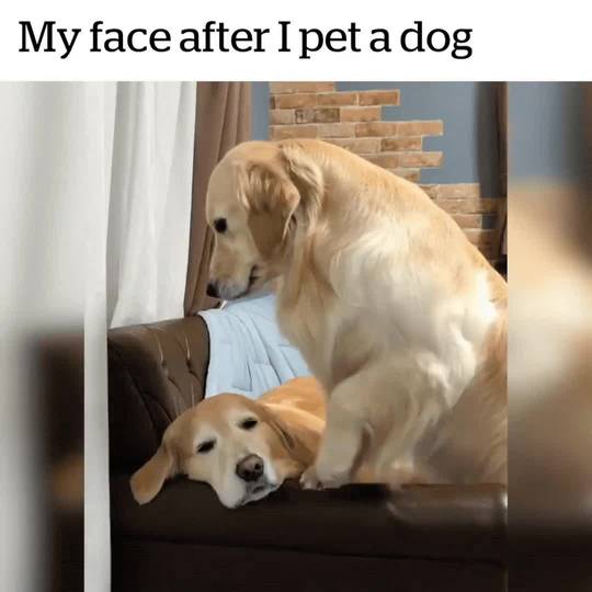 Happiness | Scrolller