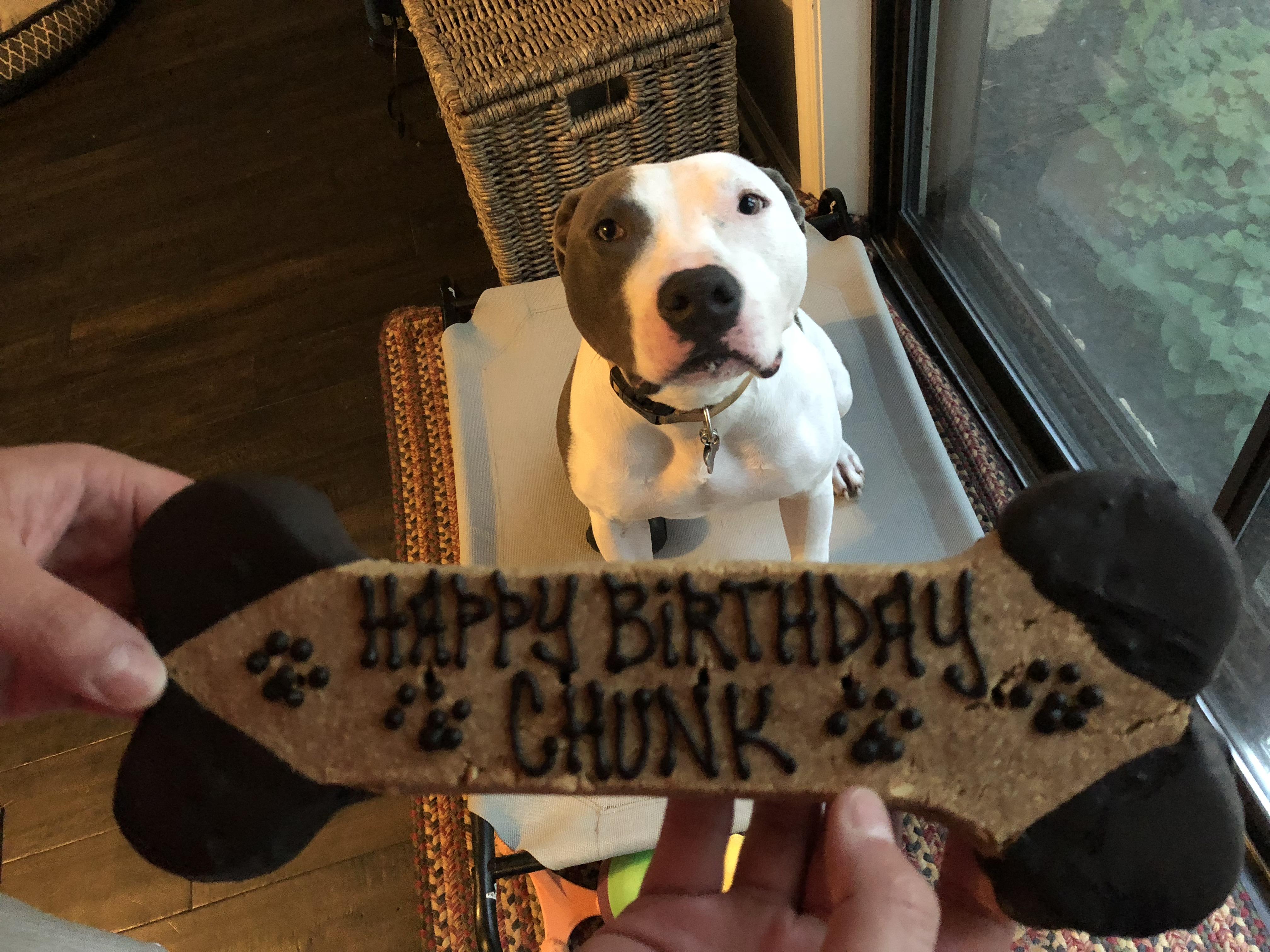 Happy Birthday, Chunk! He’s 3 today! | Scrolller