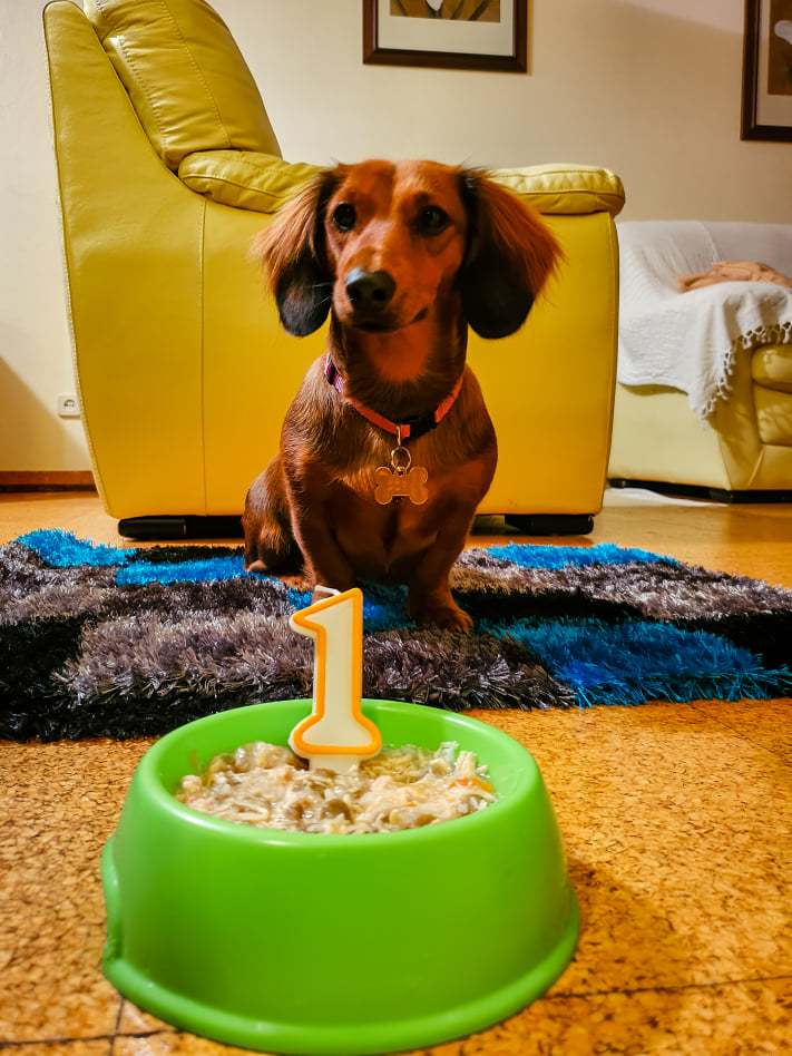 Happy Birthday Dory!