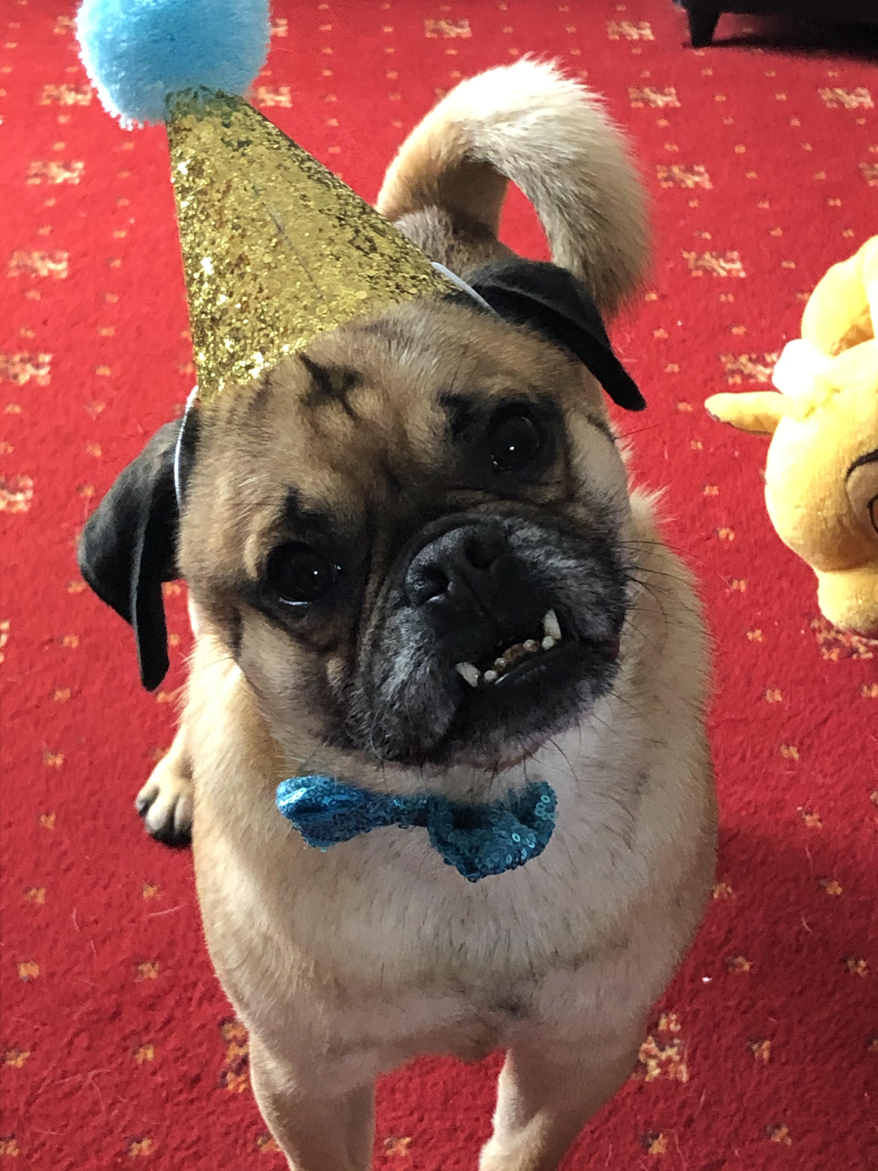 Happy birthday to my beautiful boy! | Scrolller