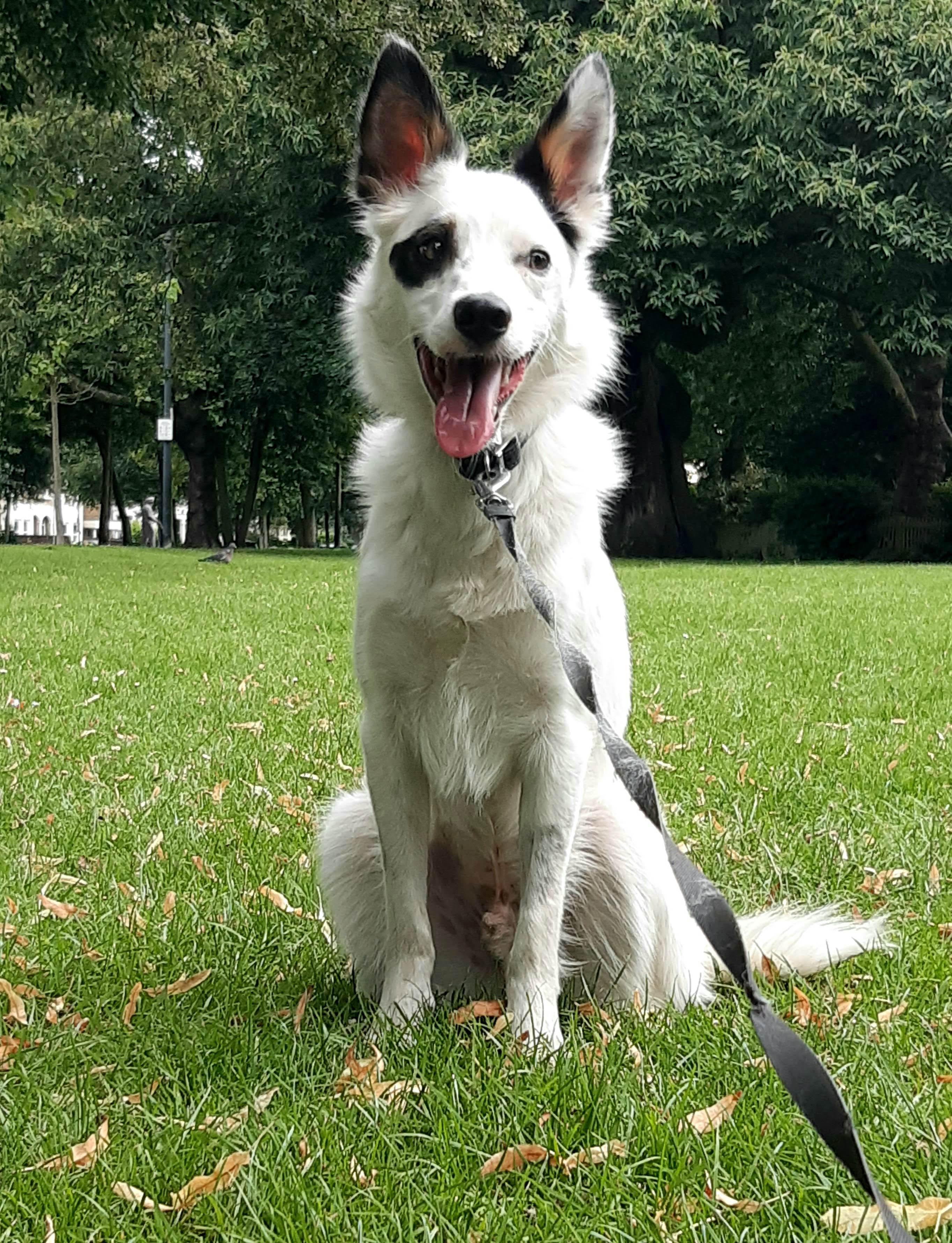 Happy boy | Scrolller