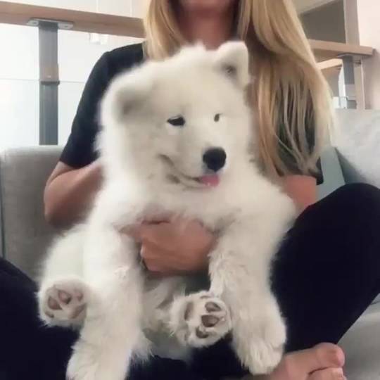 Happy fluffy little cloud. | Scrolller