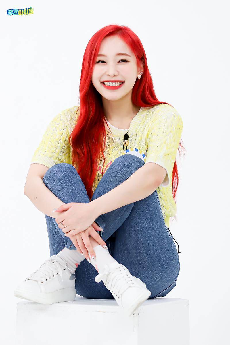 Happy Red Fox 🦊 | Scrolller