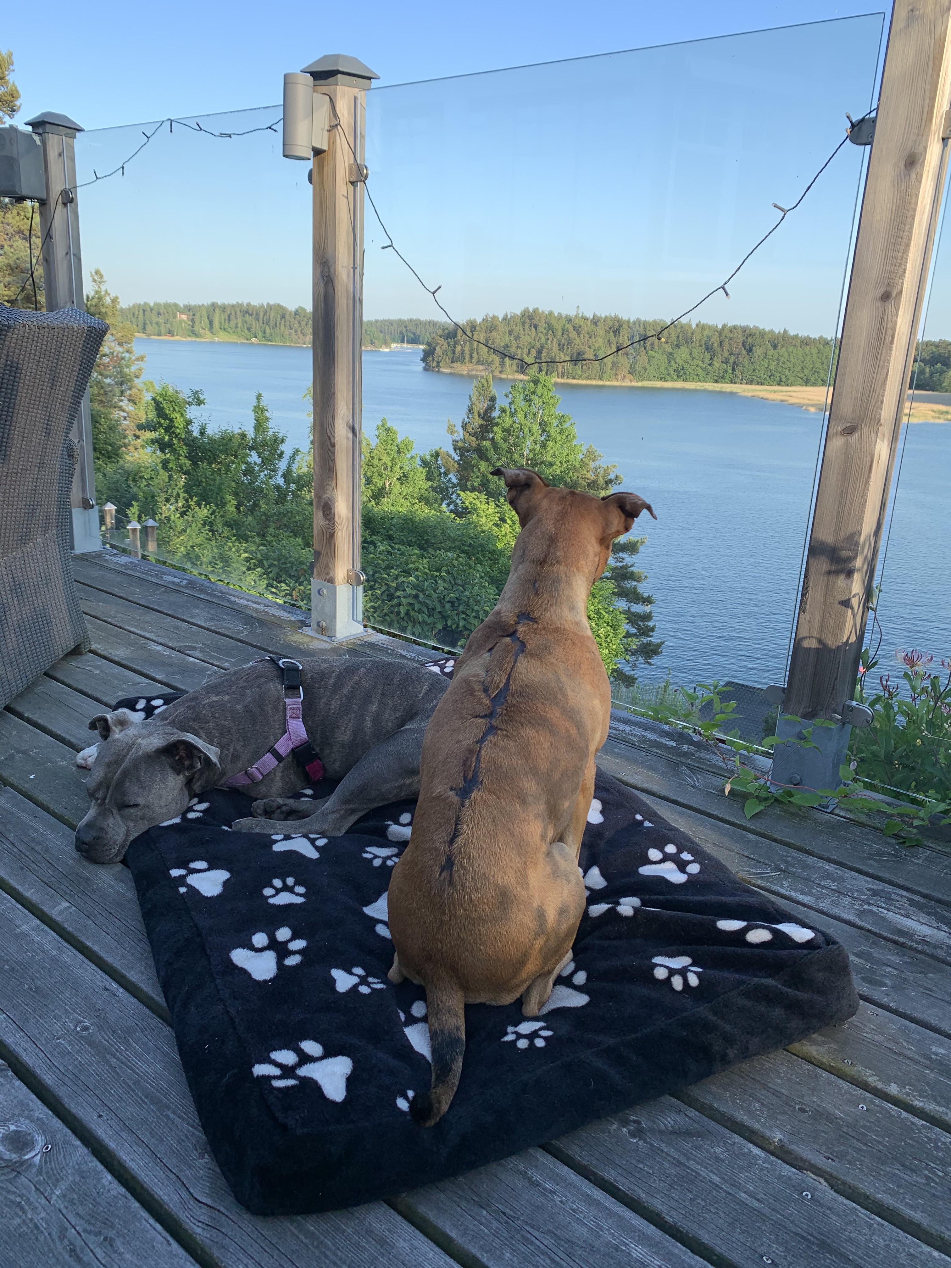 Happy that her sister is finally asleep. Time for reflection! | Scrolller