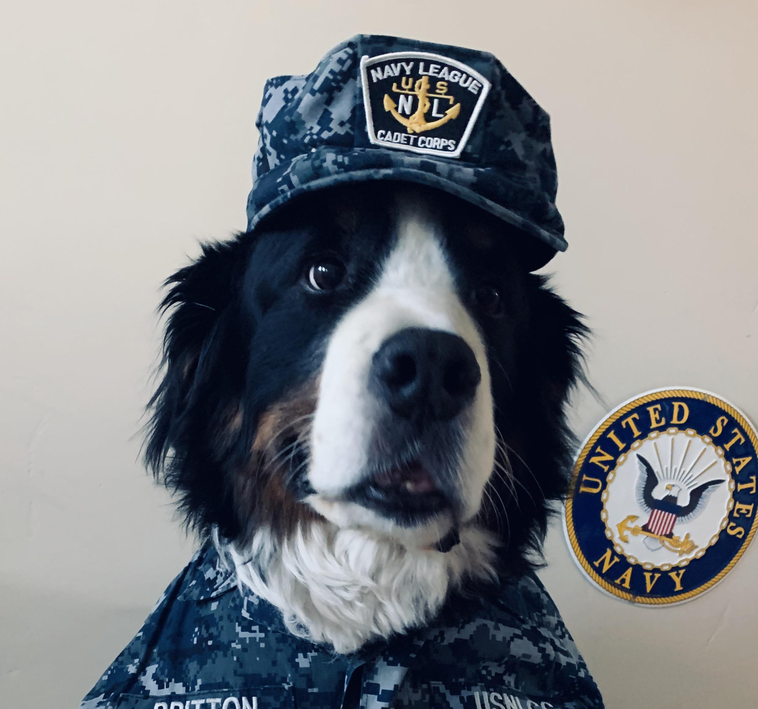 Happy Veterans Day!🇺🇸 | Scrolller