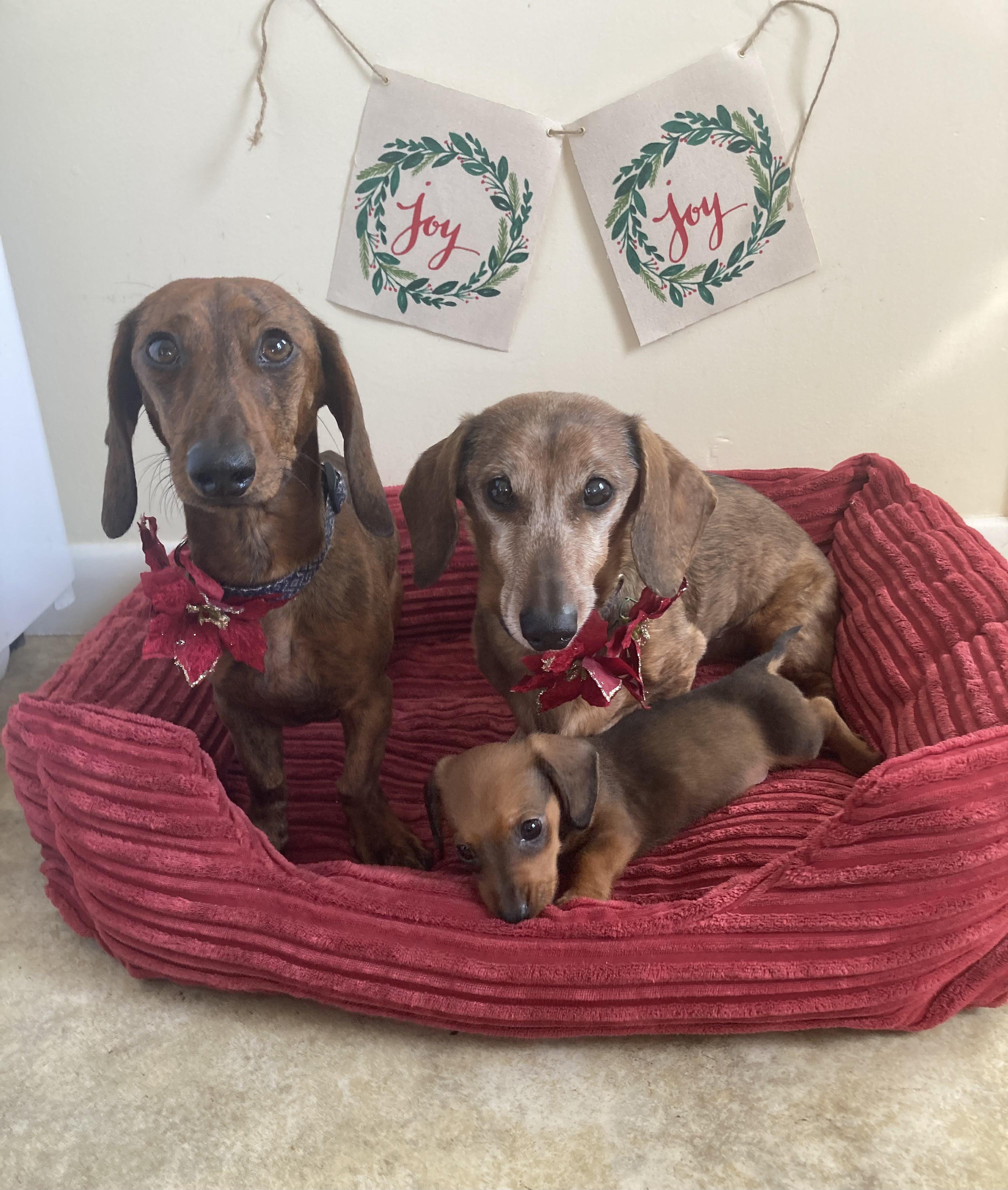 Happy Winter Solstice! | Scrolller