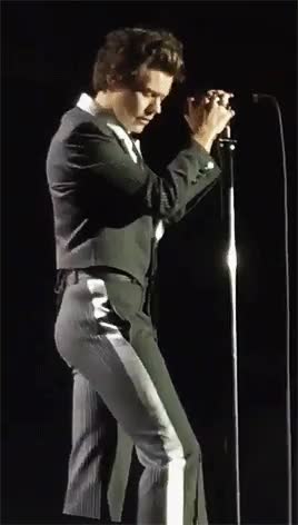 Harry Styles | Scrolller