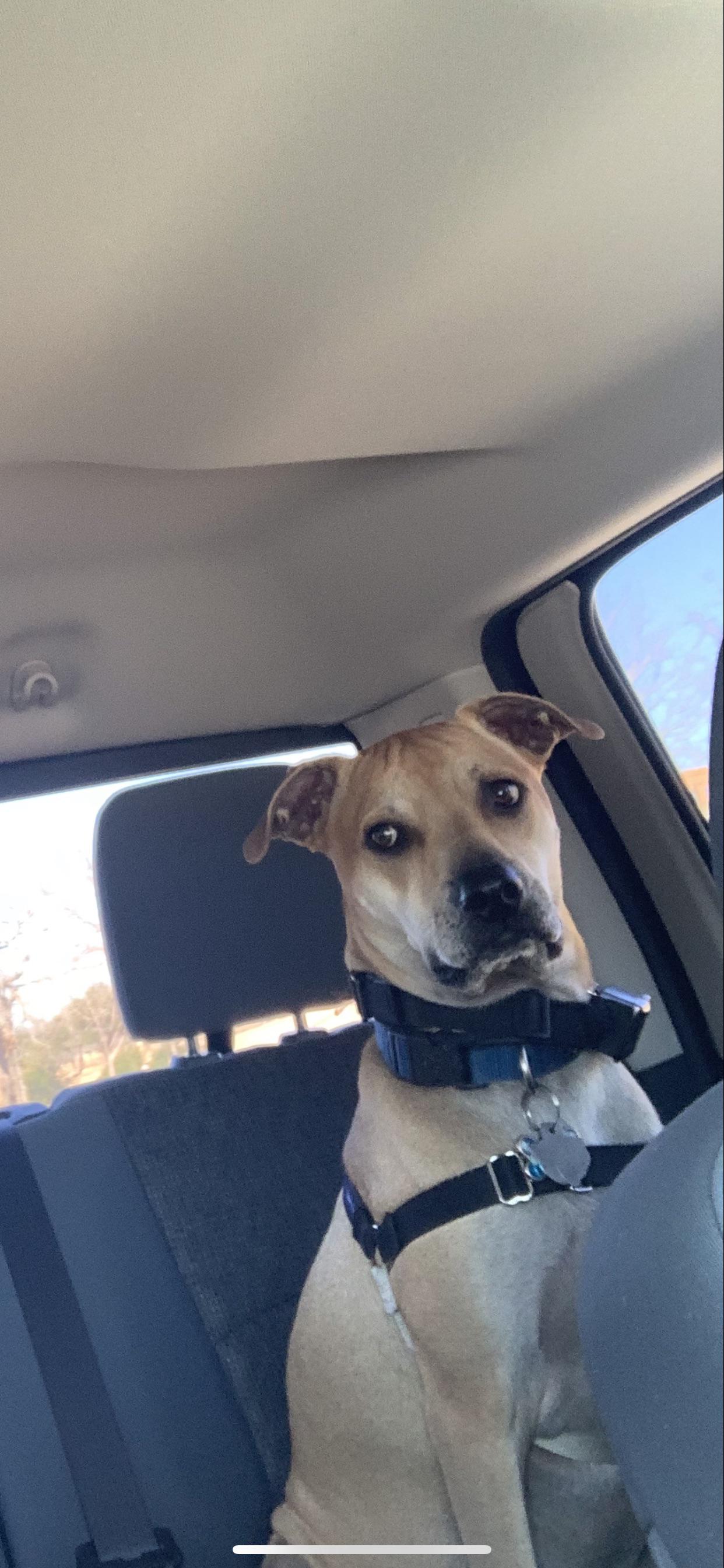 Harvey judging my singing | Scrolller