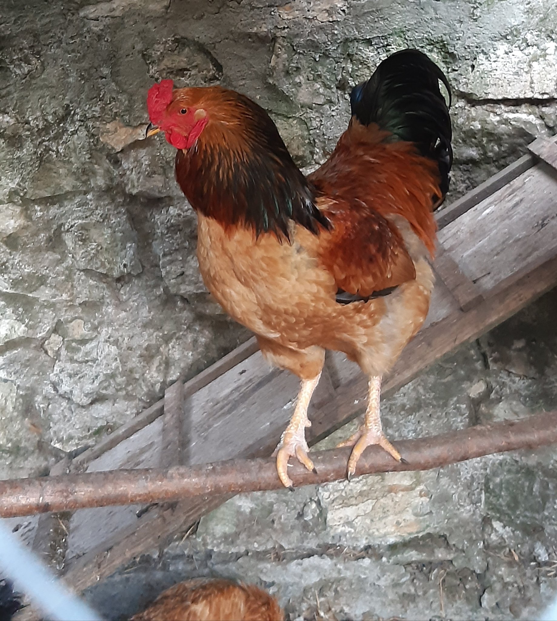 Have you ever seen such a handsome boy ? | Scrolller