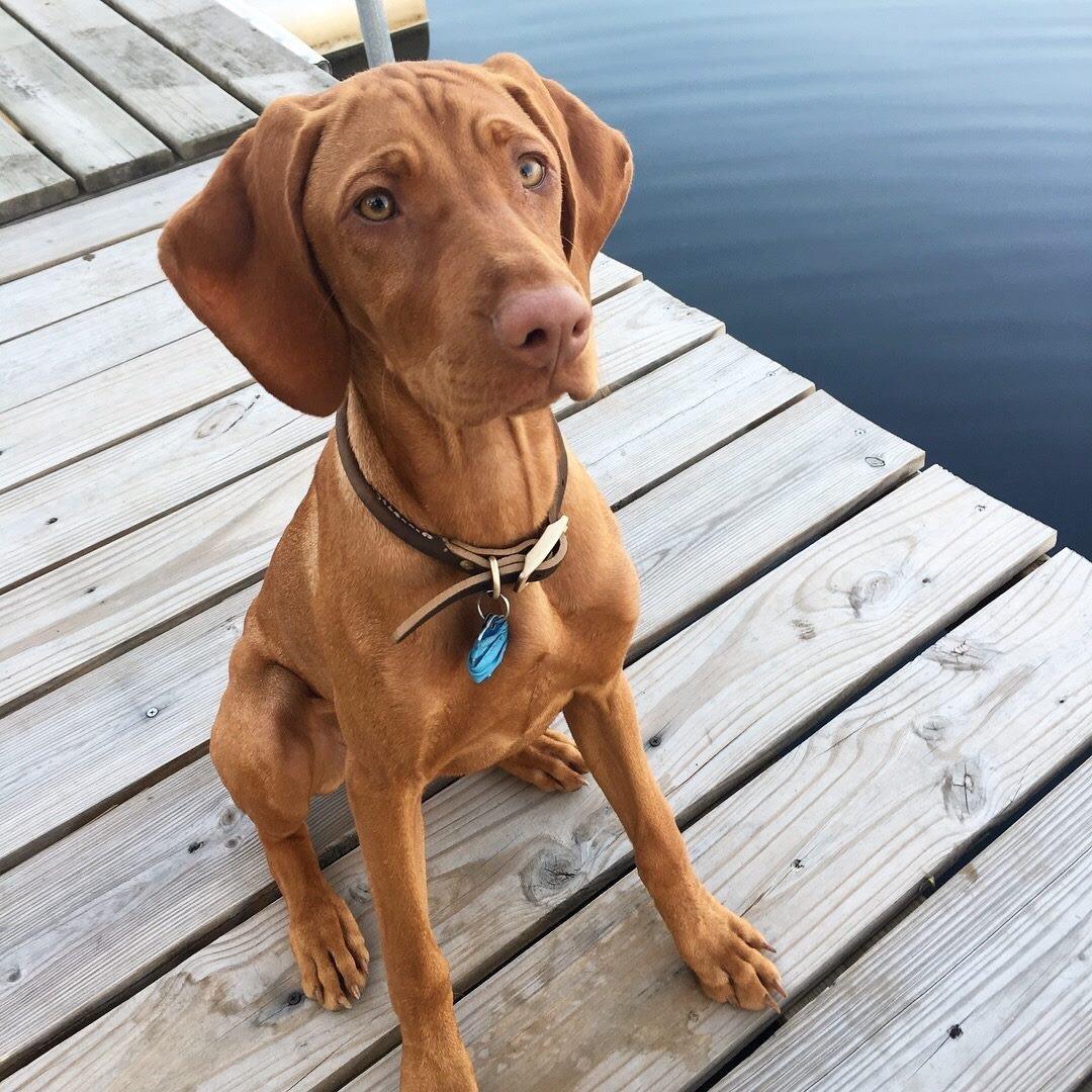 Hazel showing off her concentration skills | Scrolller