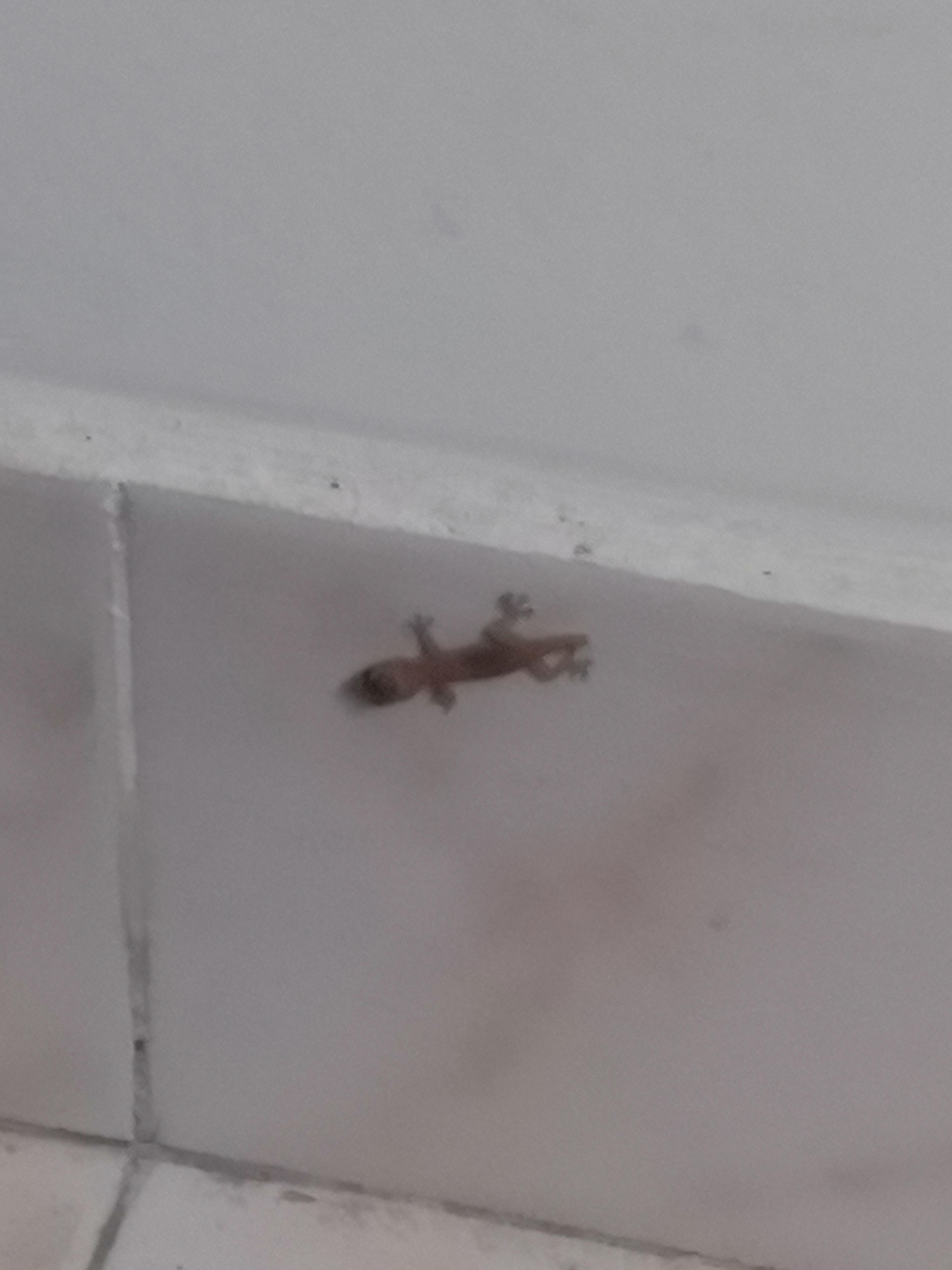 He be chillin | Scrolller