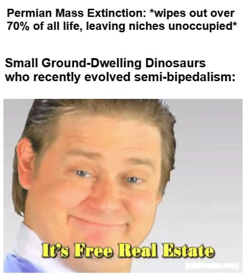 He do be looking kinda evolved doe 👀👌😳😳 | Scrolller