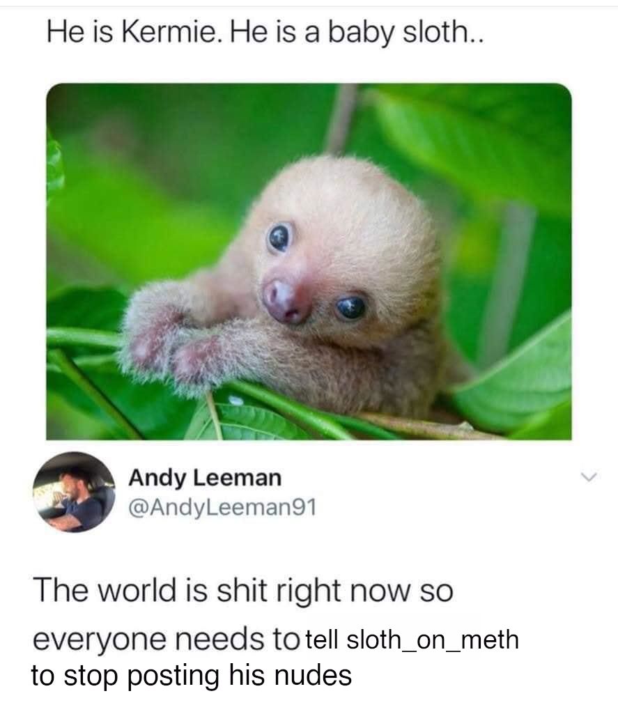 He dummy thic tho | Scrolller