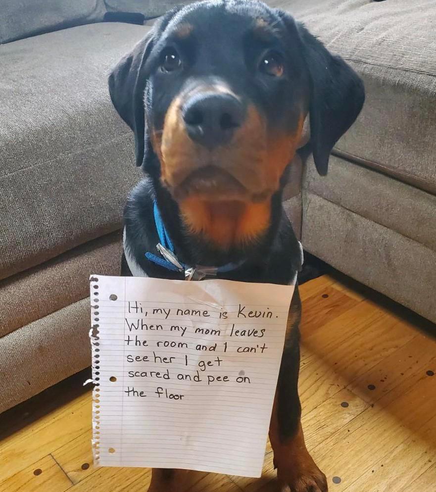 He gets very scared loll | Scrolller