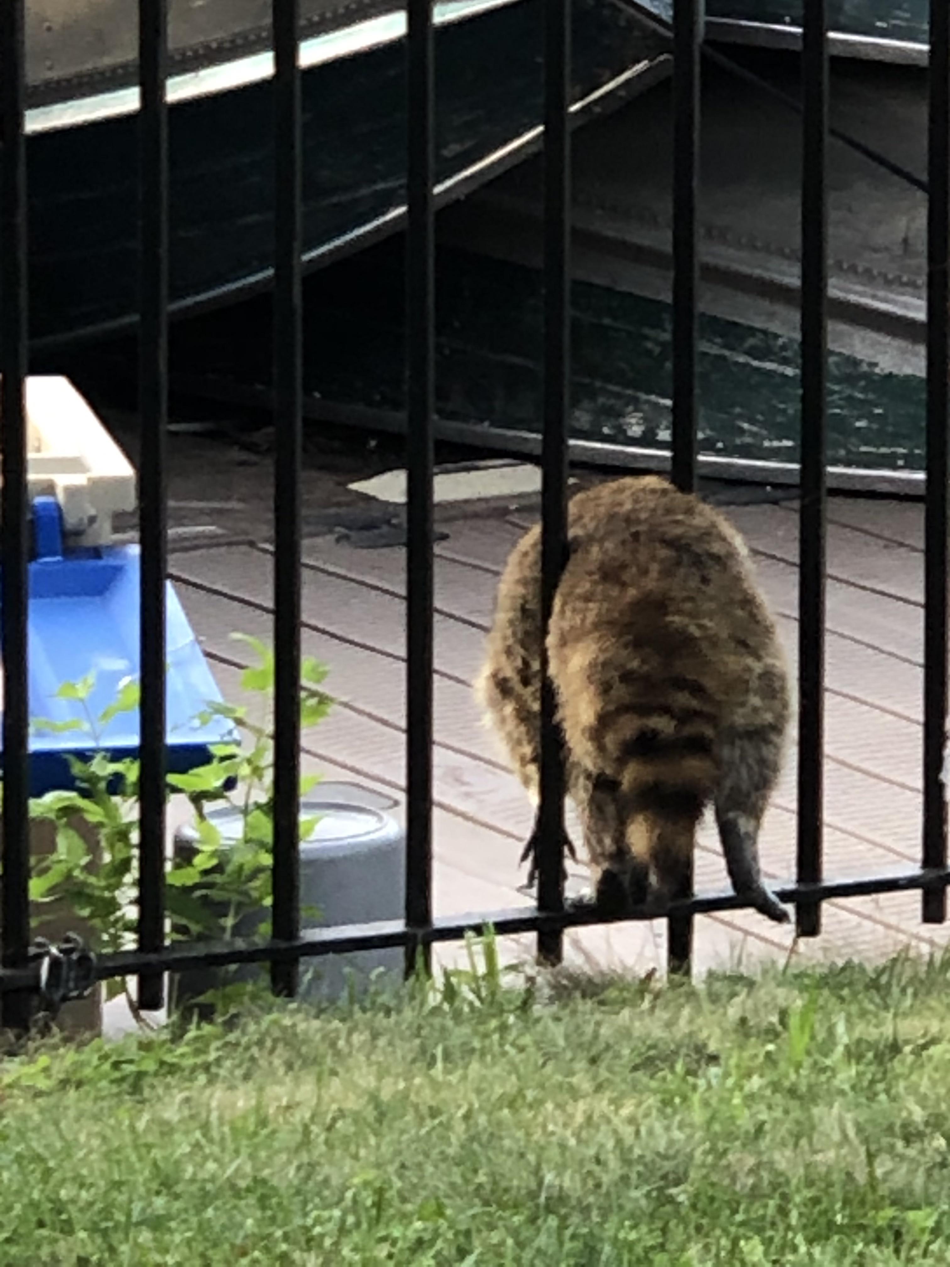 He got a little stuck | Scrolller