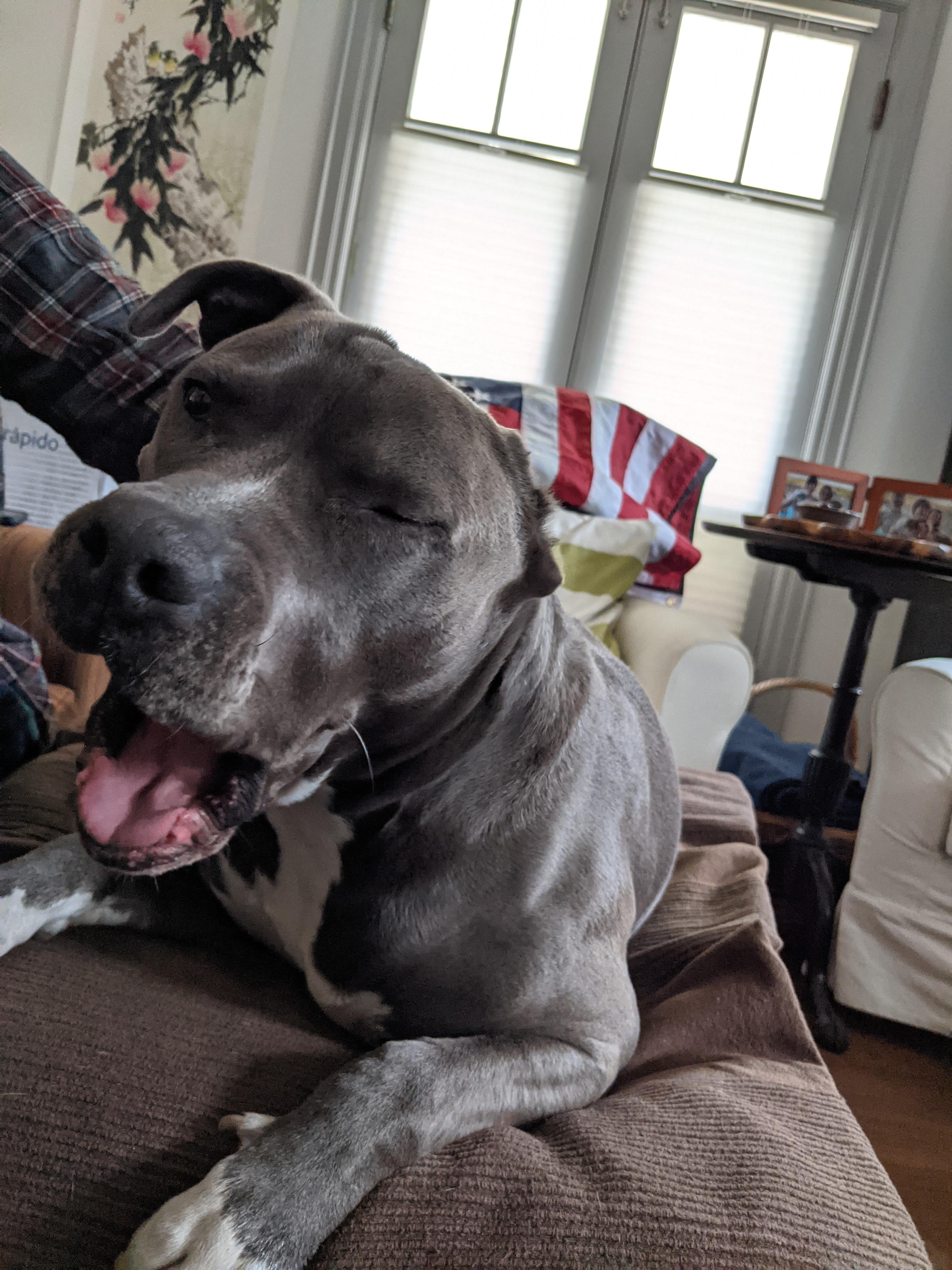 He has an itchy scratch | Scrolller