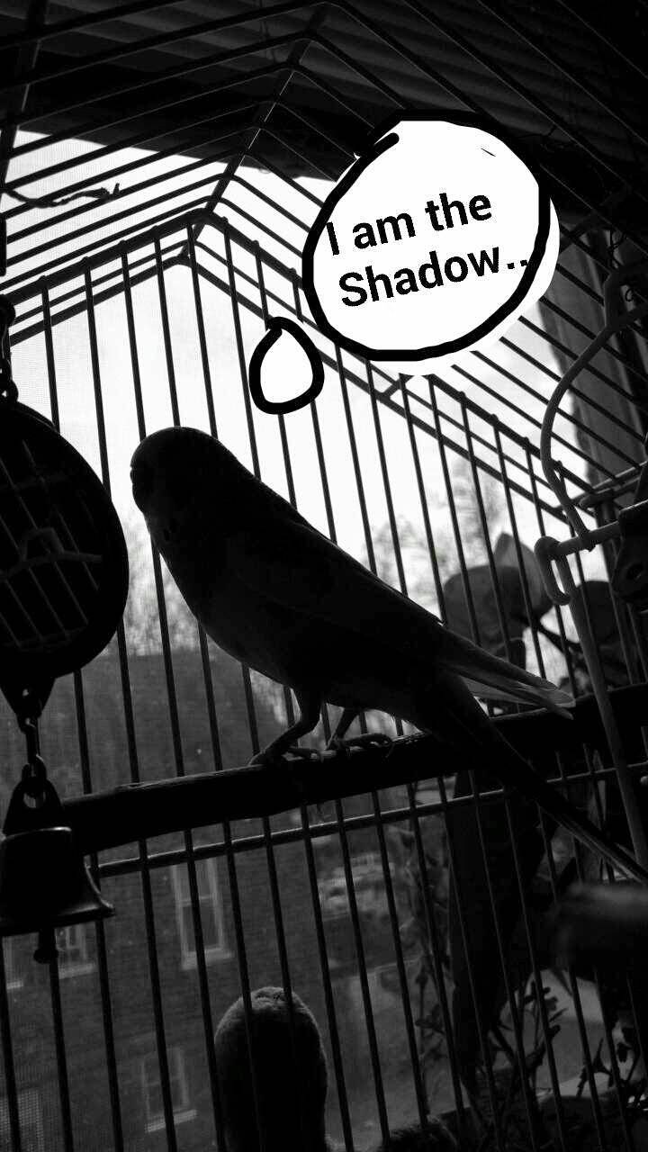 He is the shadow | Scrolller