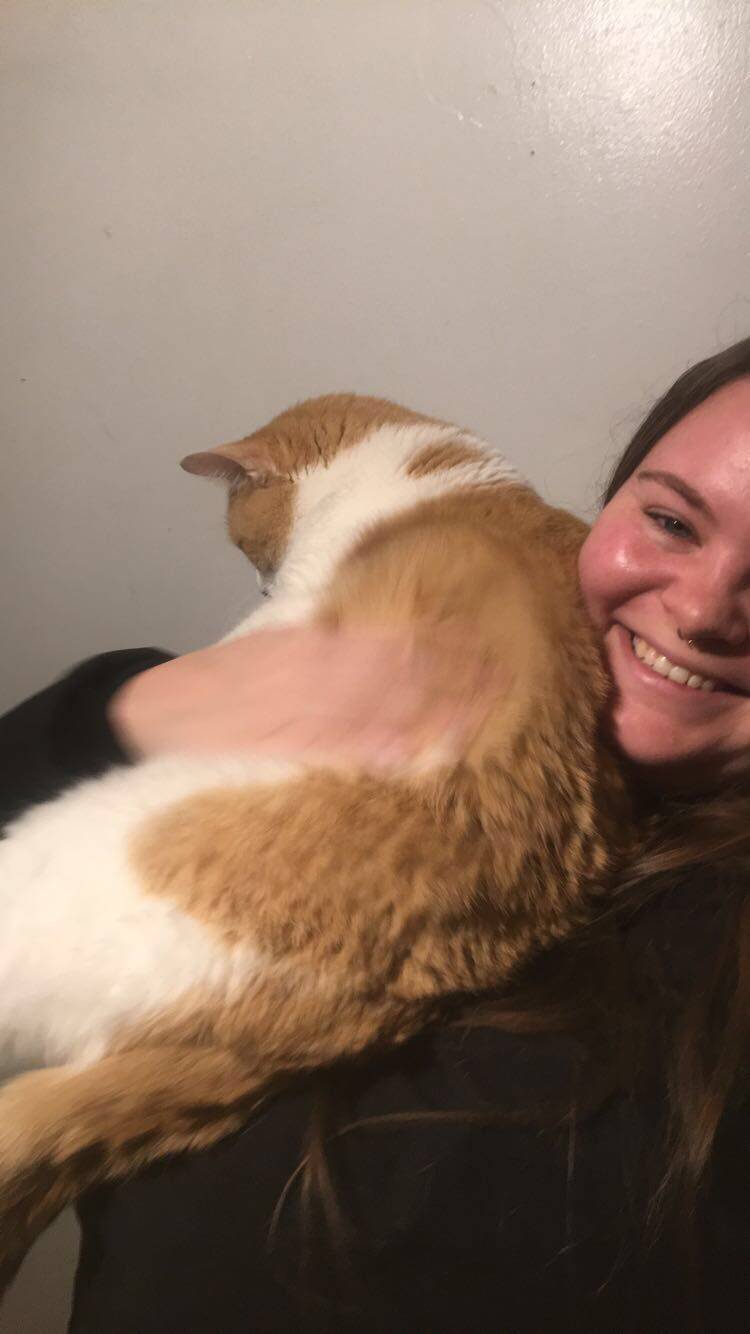 He just wanted to loaf on someone... | Scrolller