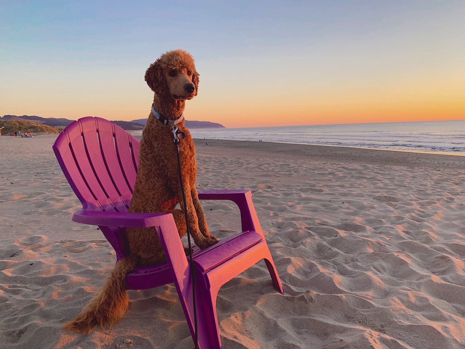 He knows he’s handsome. | Scrolller